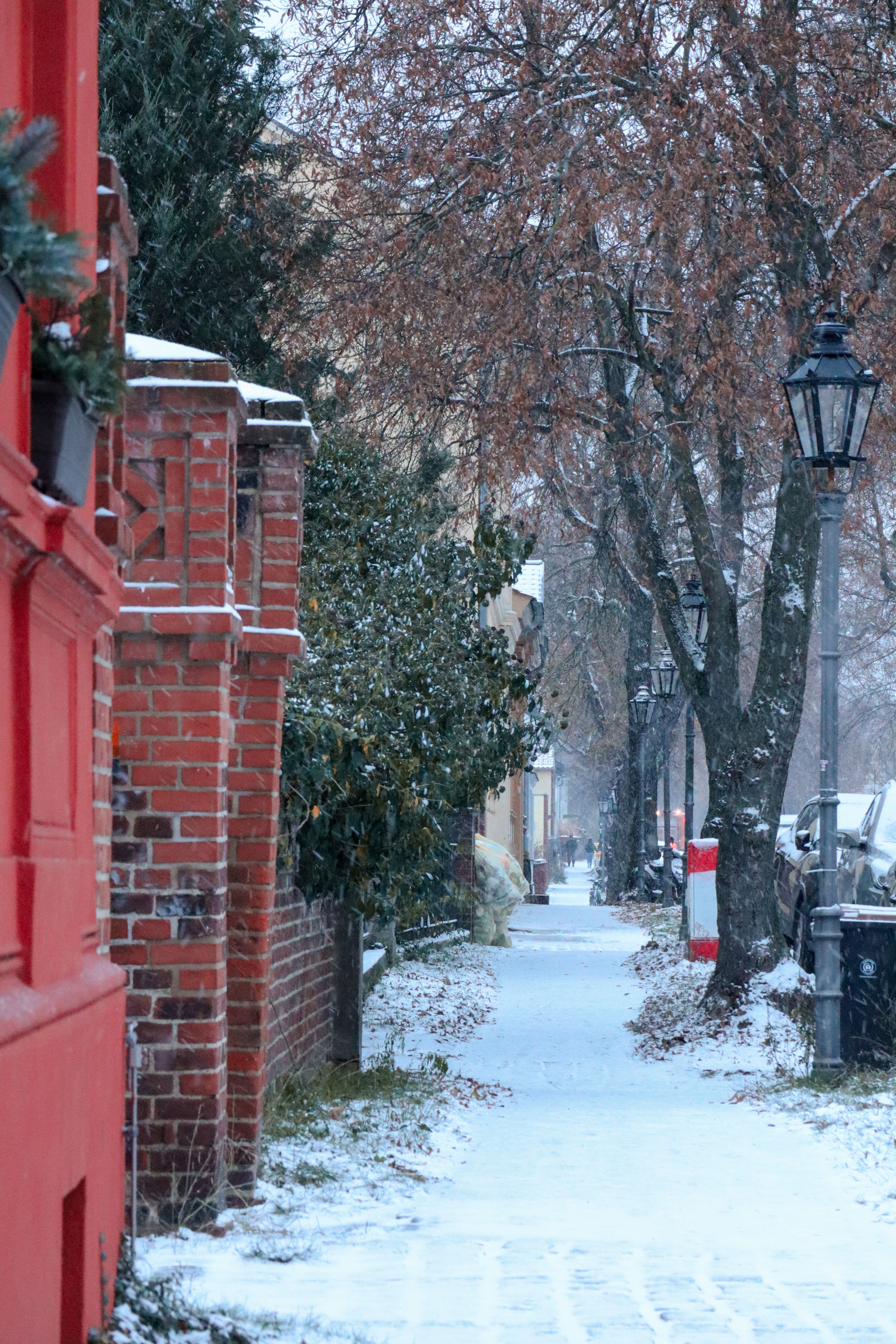 Snow on Sidewalk Along Street in Berlin, Germany · Free Stock Photo