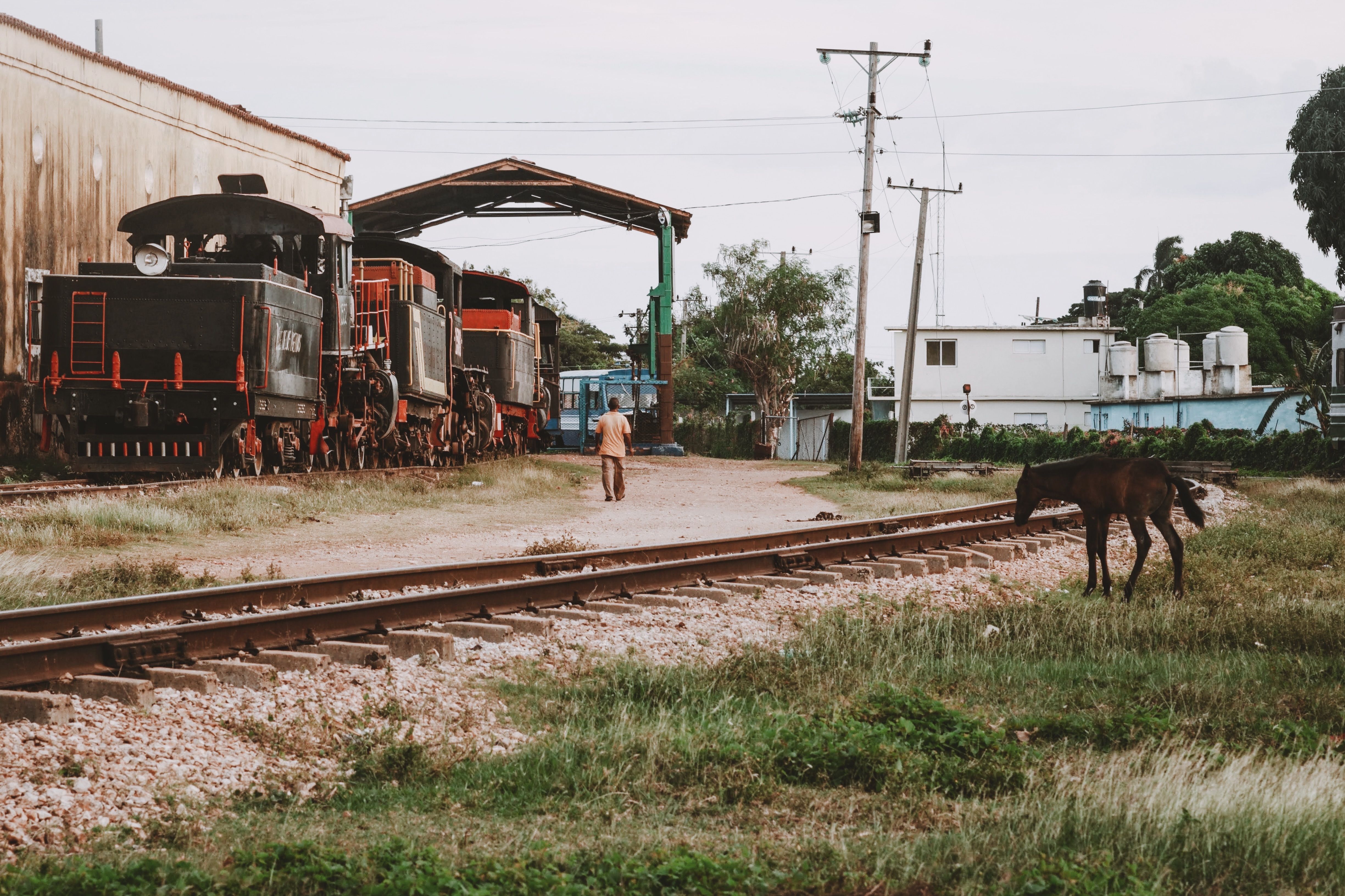 Horse Train Photos, Download The BEST Free Horse Train Stock Photos ...