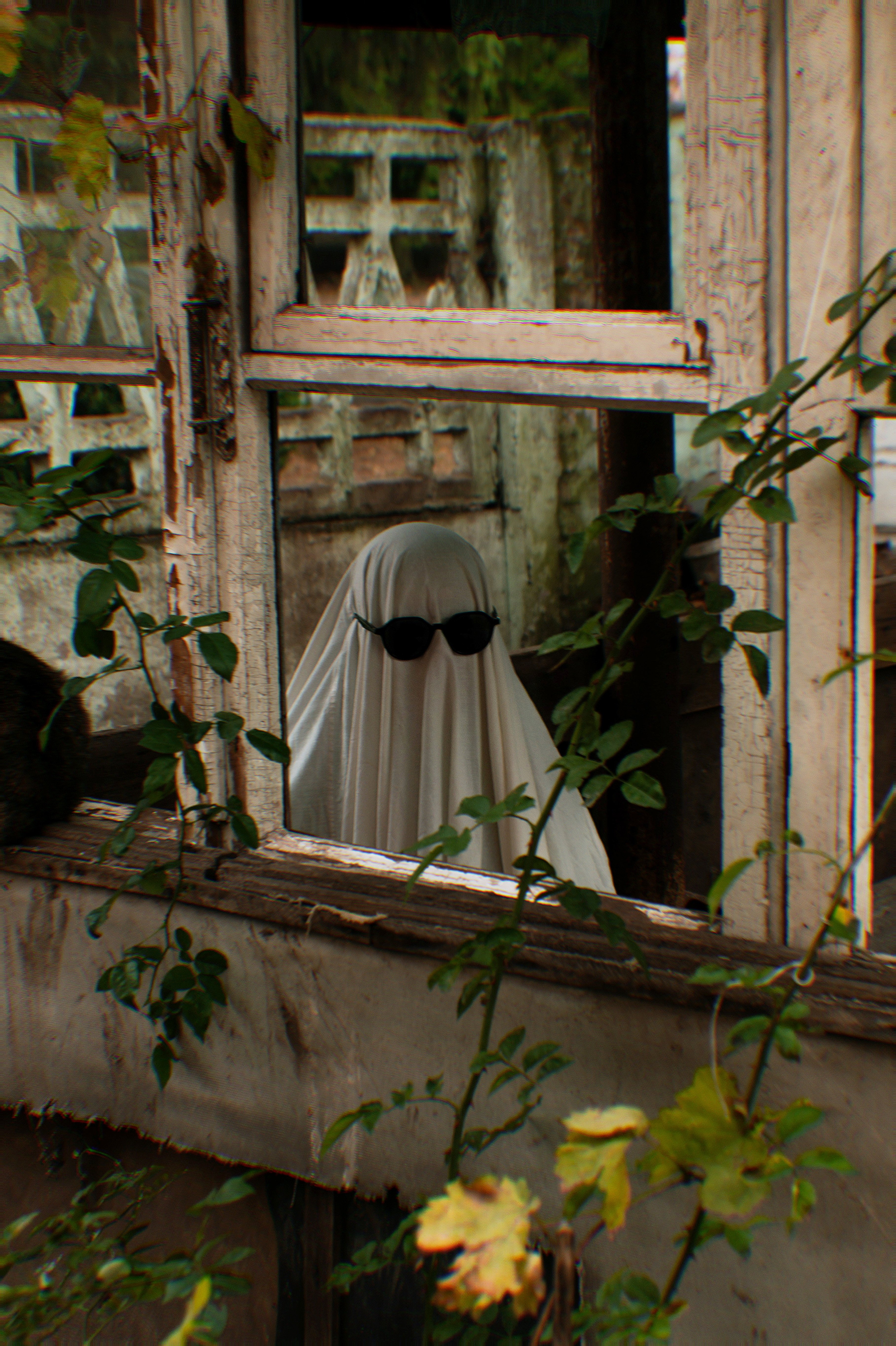 Man Wearing Ghost Costume Seen in a Window · Free Stock Photo
