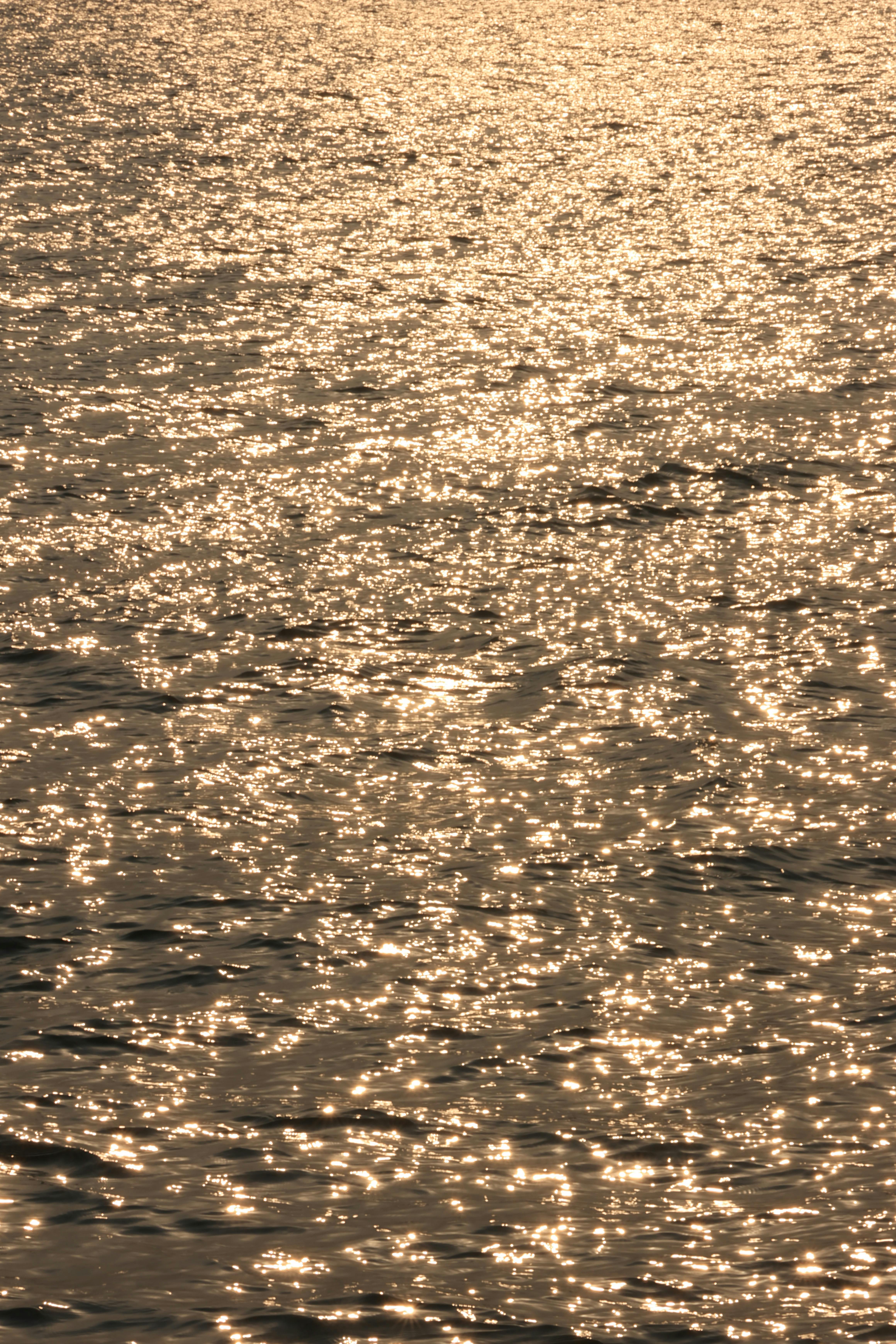 Sun Reflexes on Water Surface · Free Stock Photo