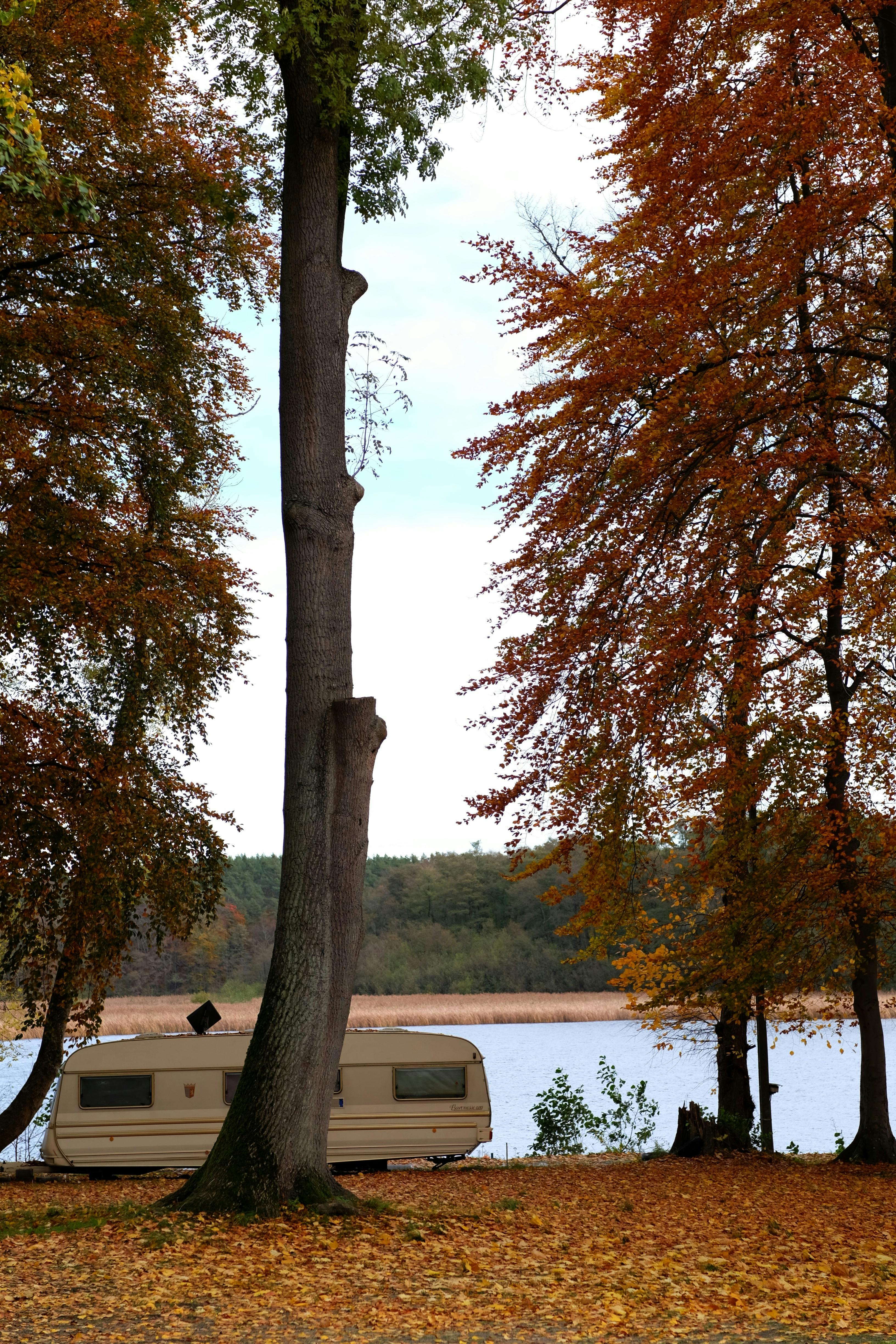 Trailer Among Trees by the Lake · Free Stock Photo