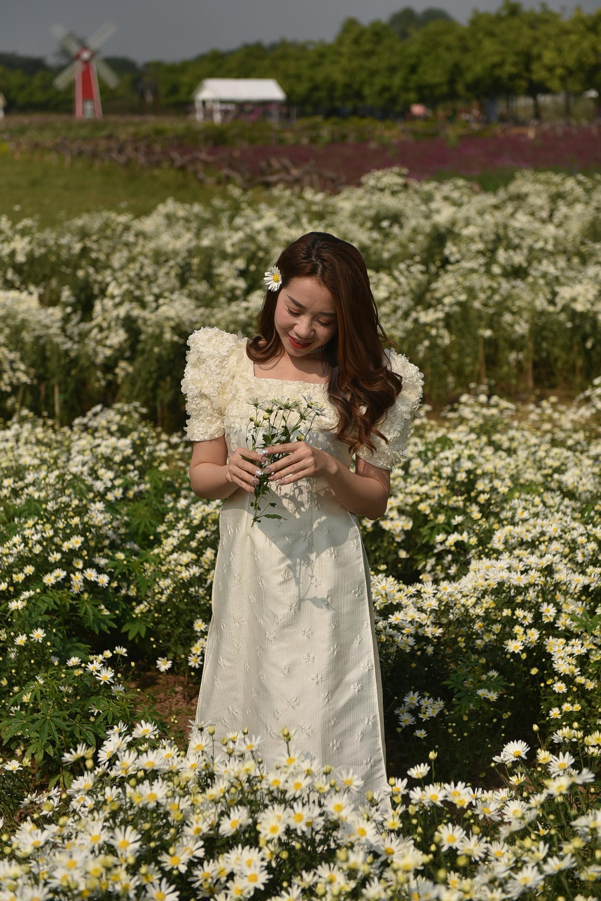 Woman in Puff Dress Standing on a Flower Field while Looking at the ...