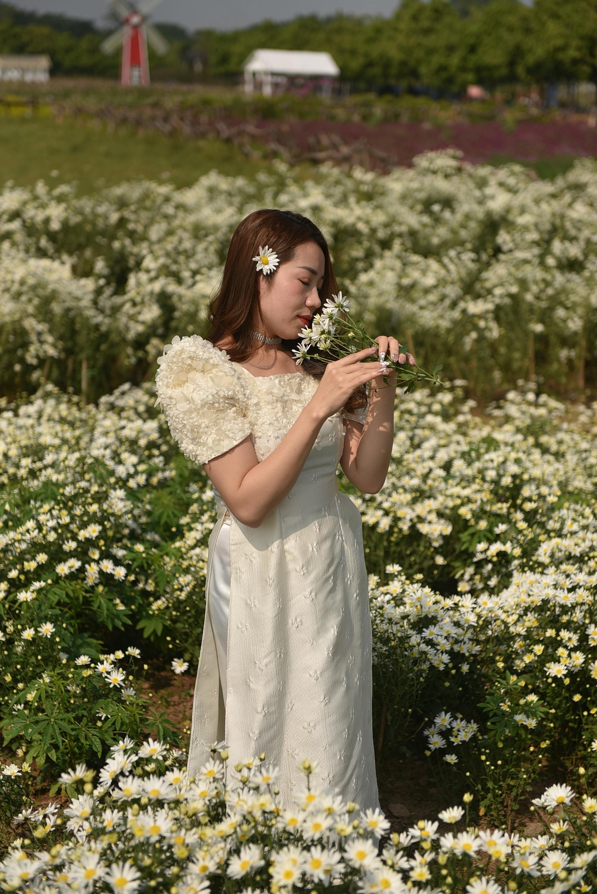 Woman in Puff Dress Standing on a Flower Field while Looking at the ...