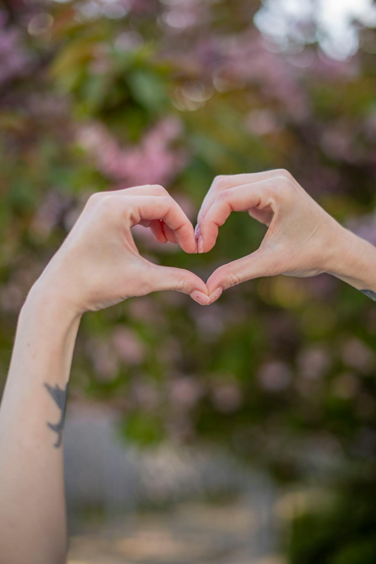 Hands Heart Photos, Download The BEST Free Hands Heart Stock Photos ...