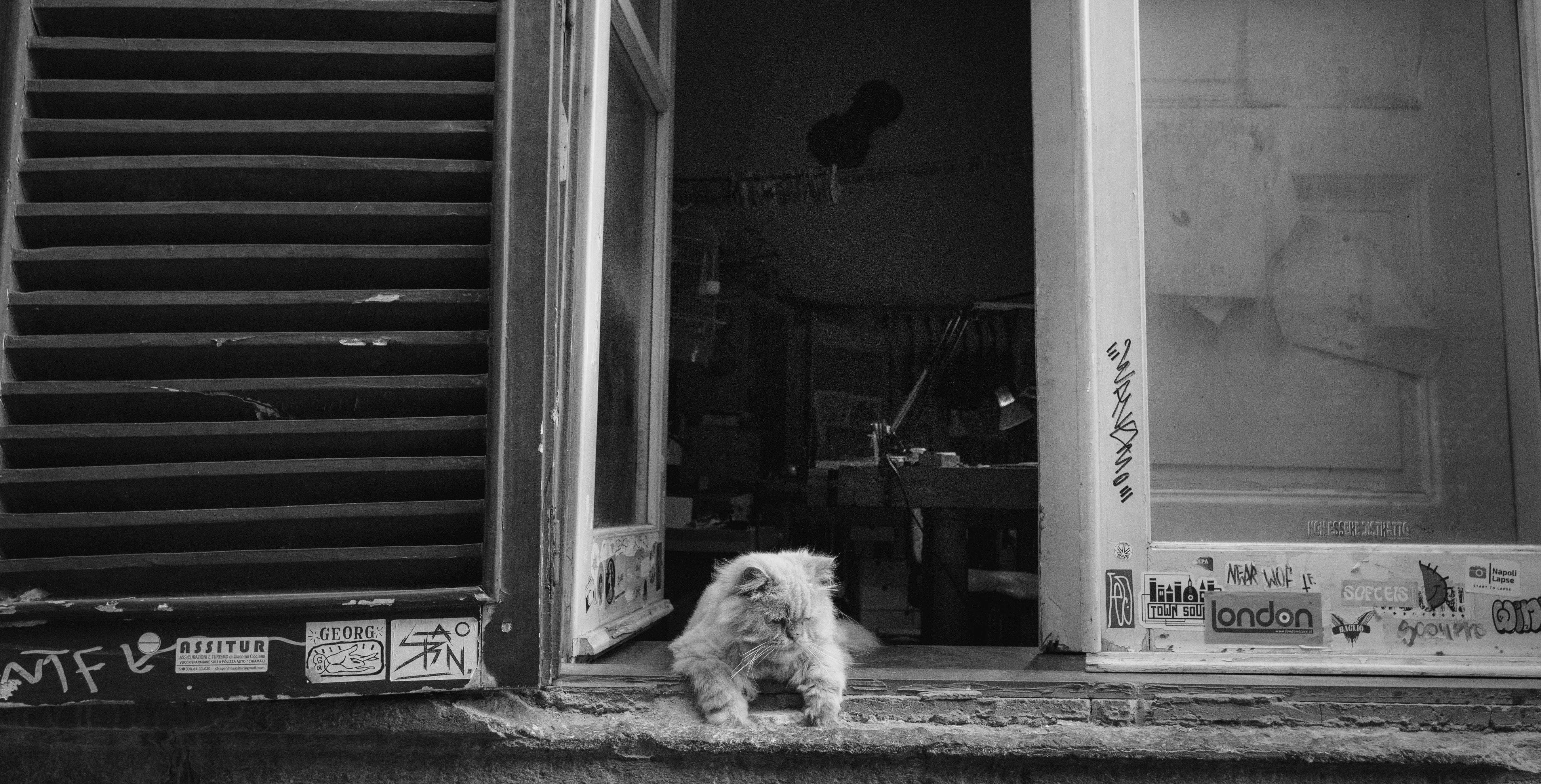 Graffiti On The Blinds Photos, Download The BEST Free Graffiti On The ...