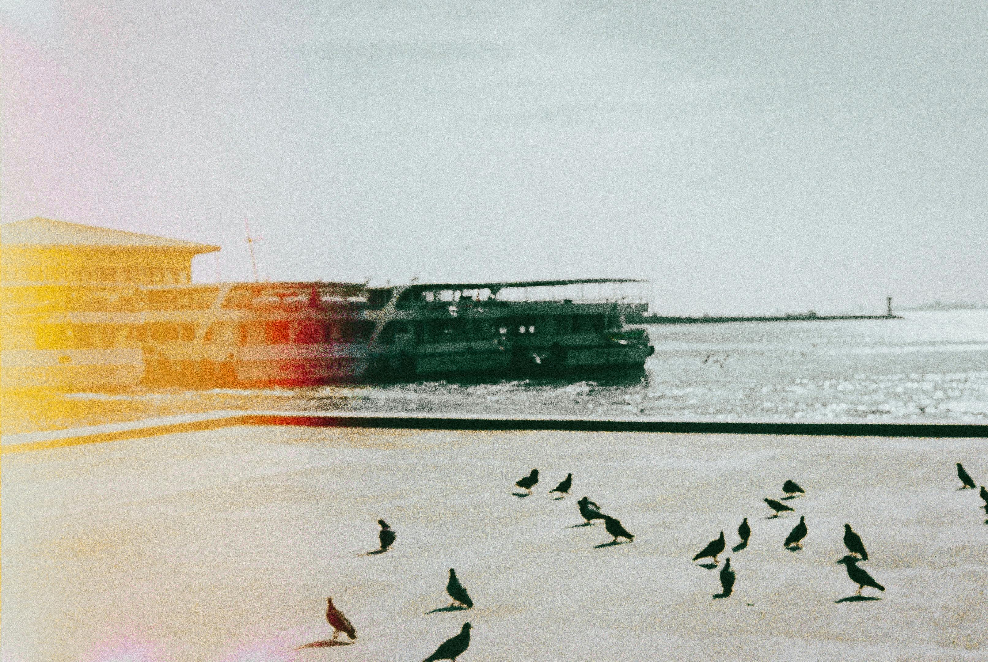 Ship Hull Photos, Download The BEST Free Ship Hull Stock Photos & HD Images