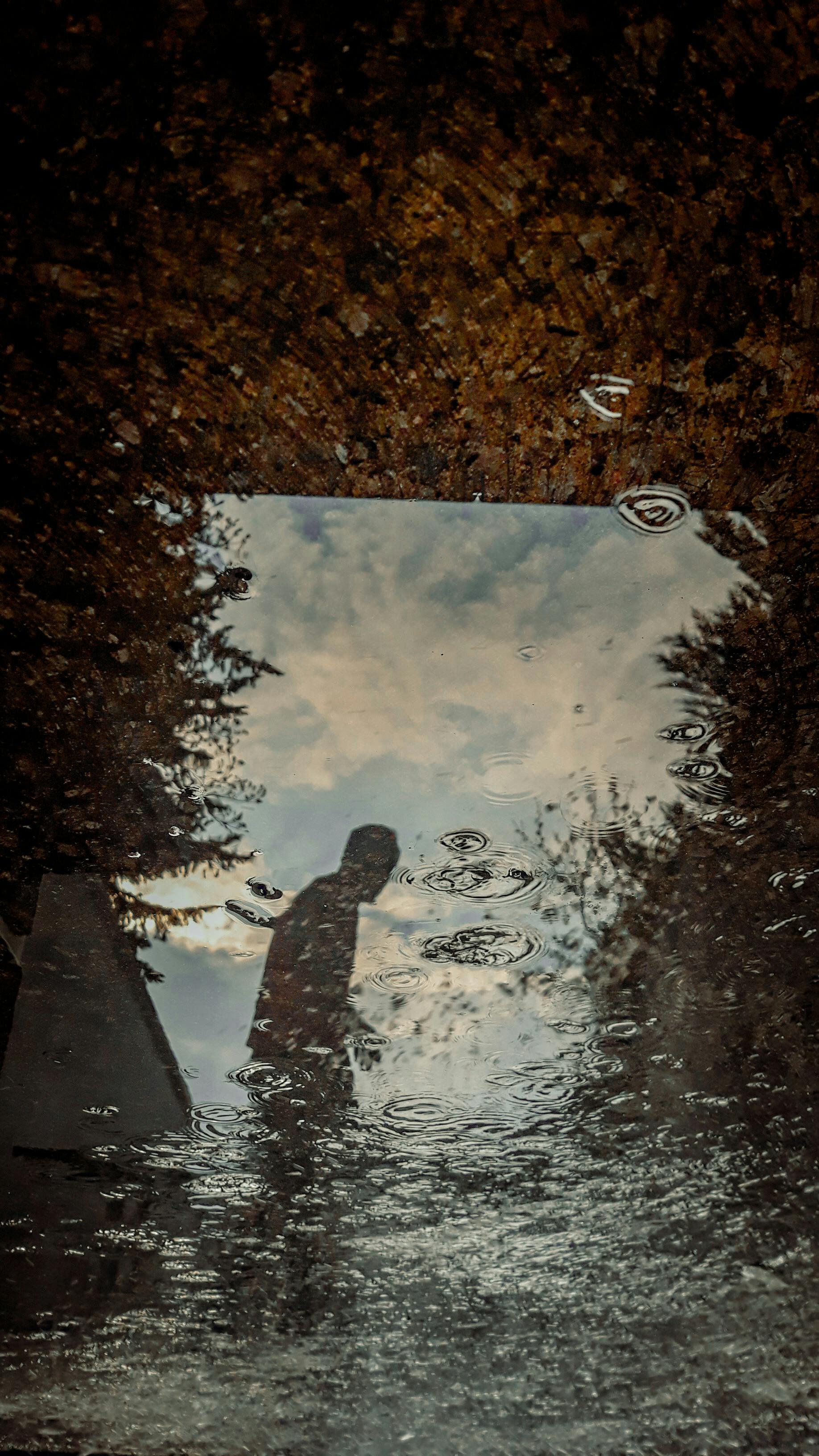 Reflection in a Puddle · Free Stock Photo