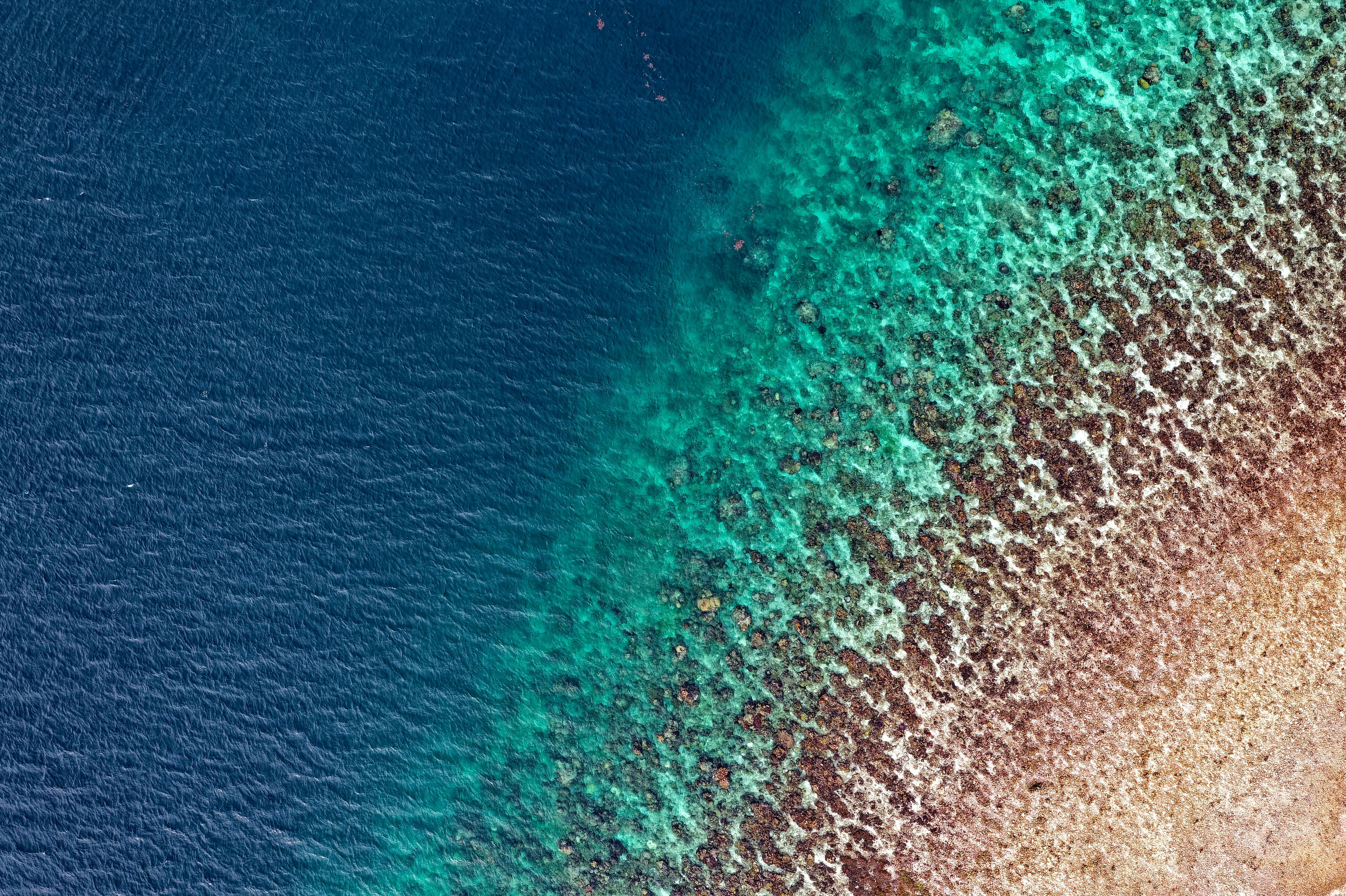 Aerial Shot Of Ocean · Free Stock Photo