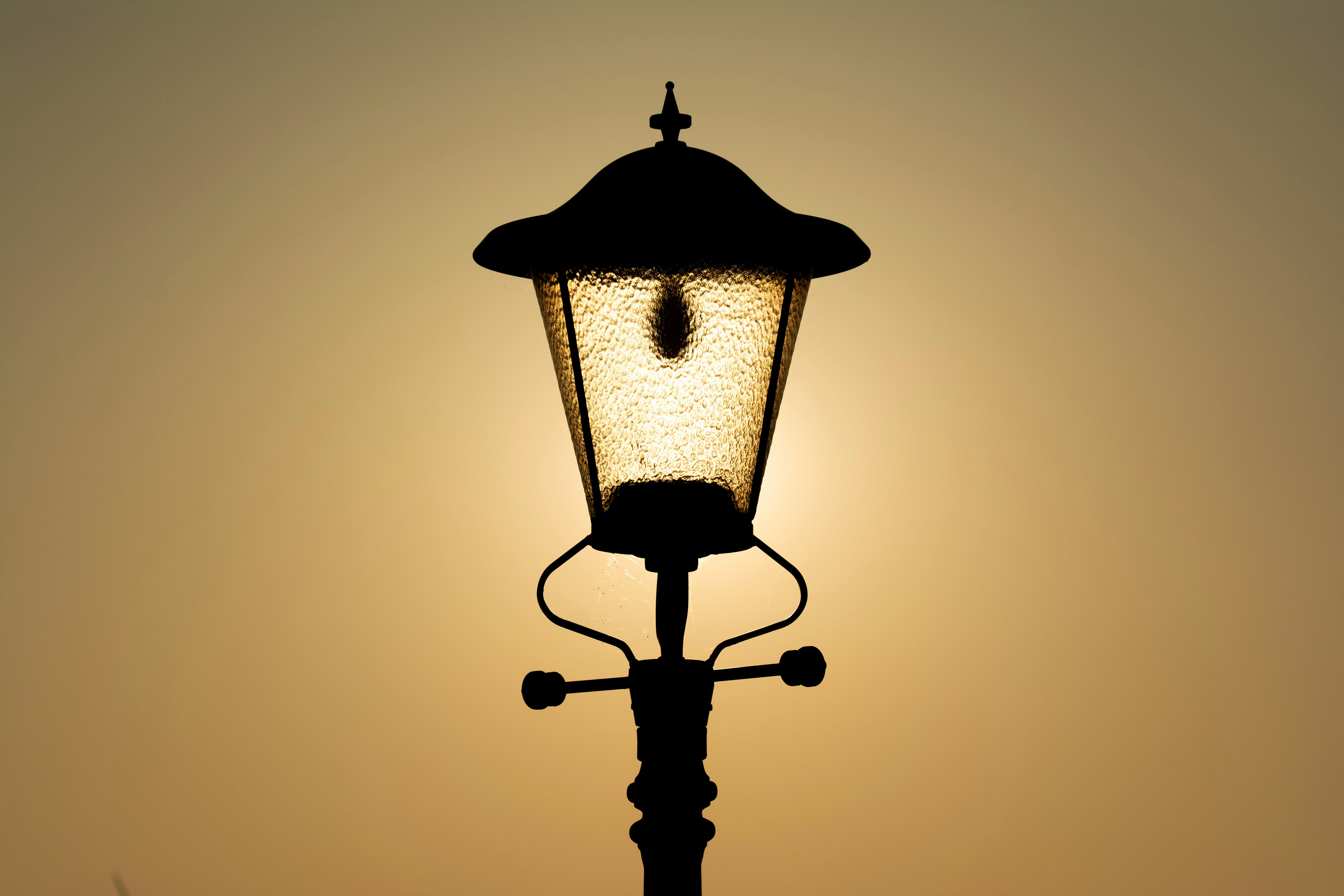 Woman Holding Lantern in the Evening · Free Stock Photo