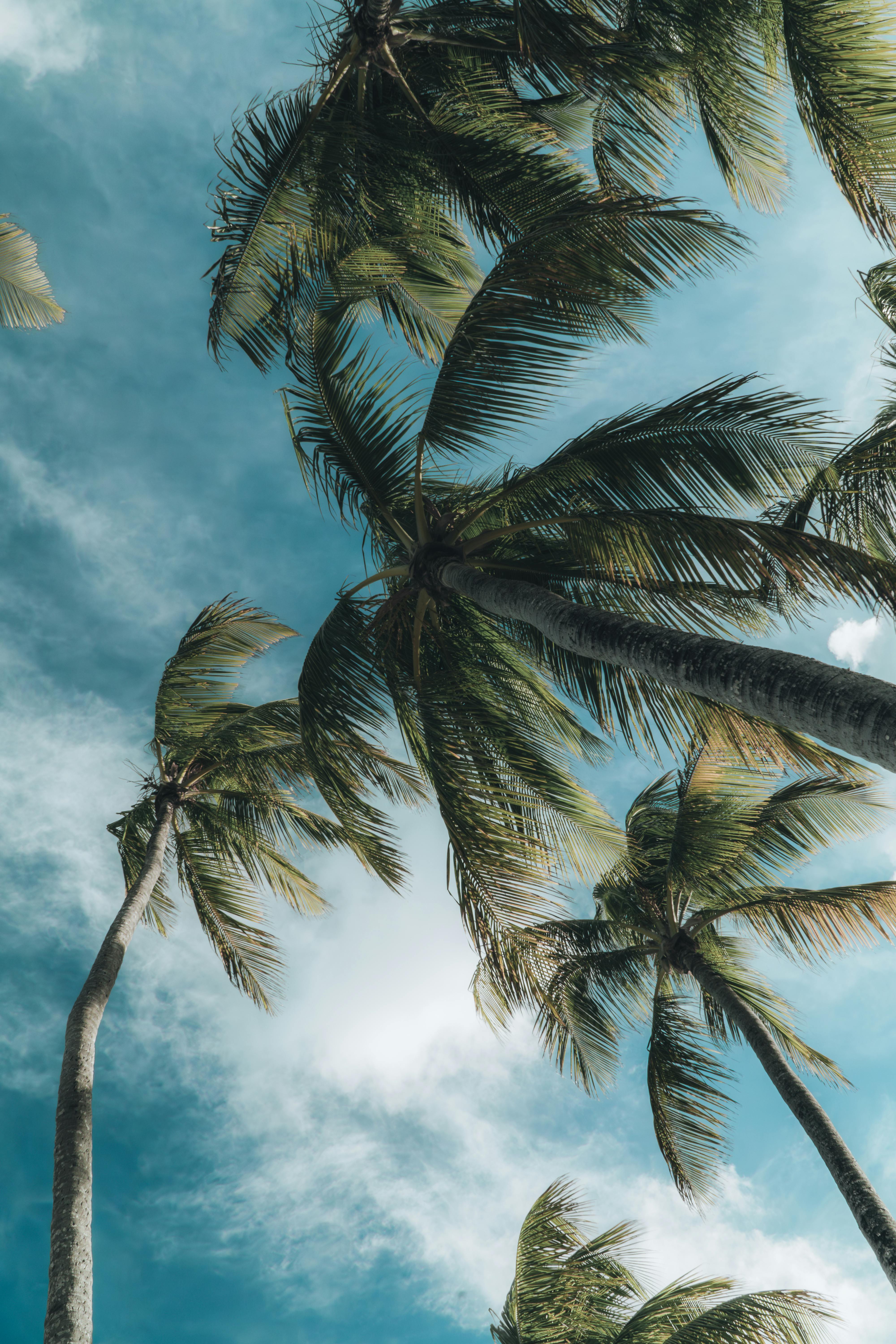 Wind Suka Photos, Download The BEST Free Wind Suka Stock Photos & HD Images