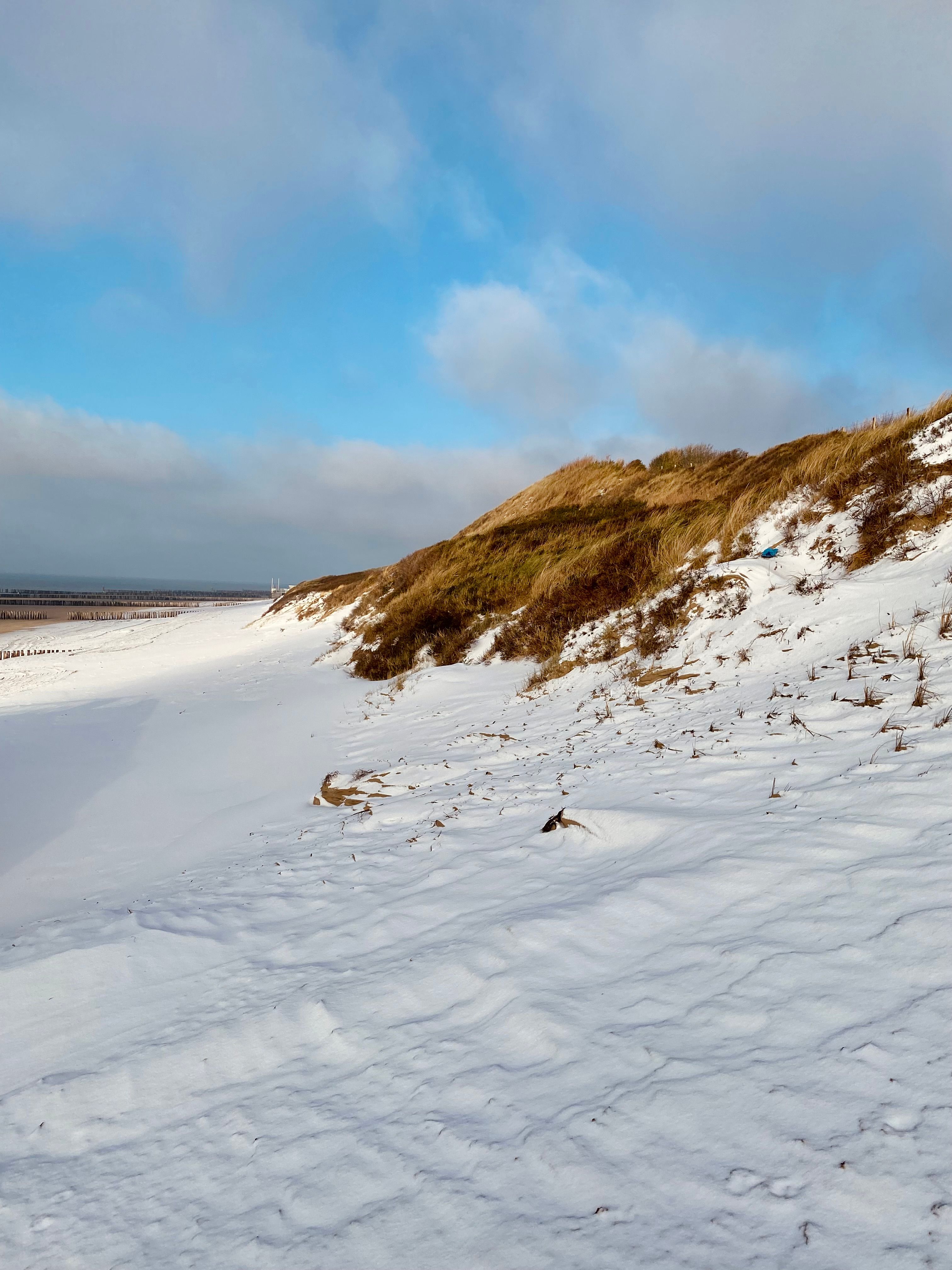 Beach in Snow · Free Stock Photo