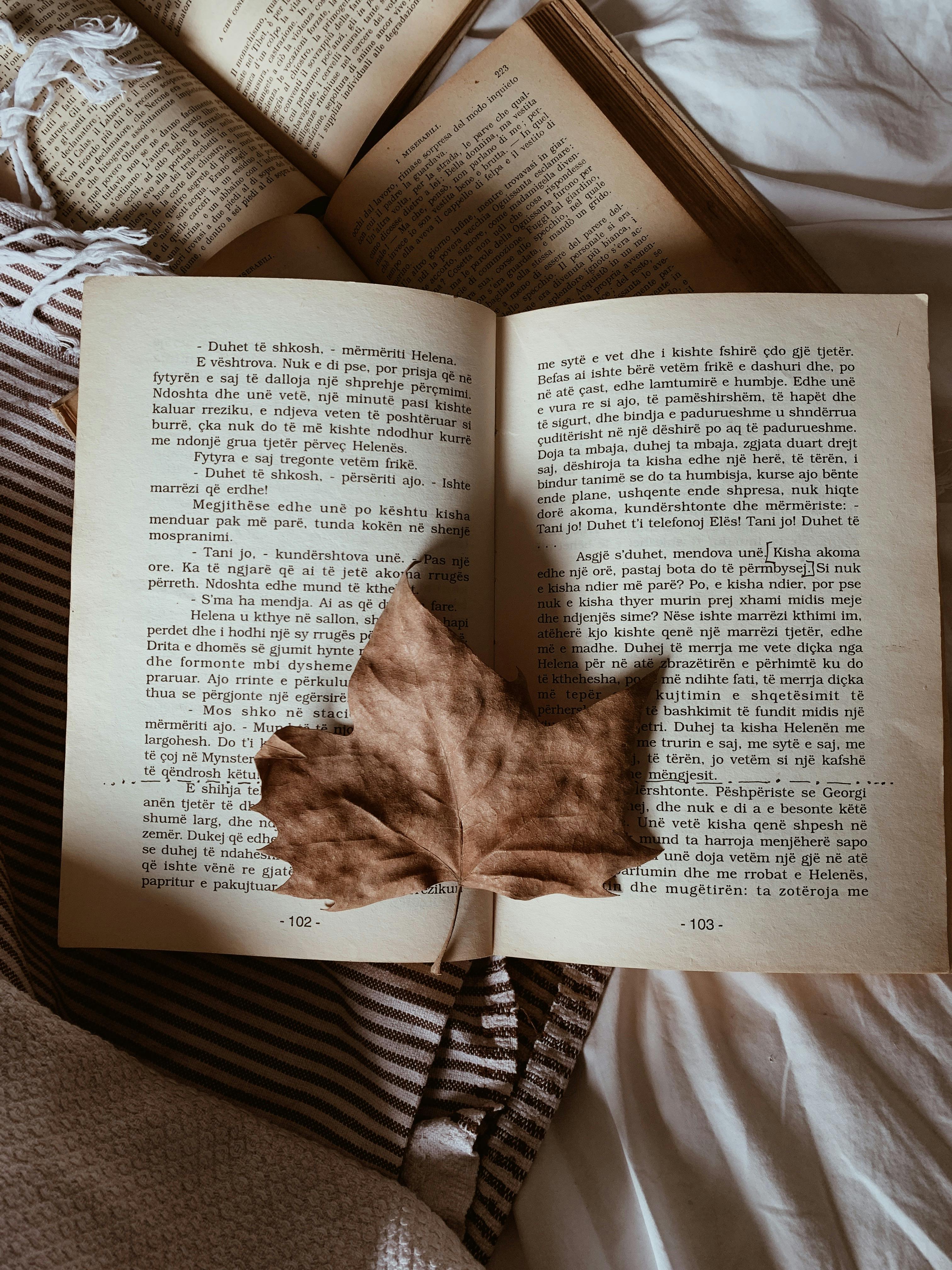 Comforting Vibe Photos, Download The BEST Free Comforting Vibe Stock ...