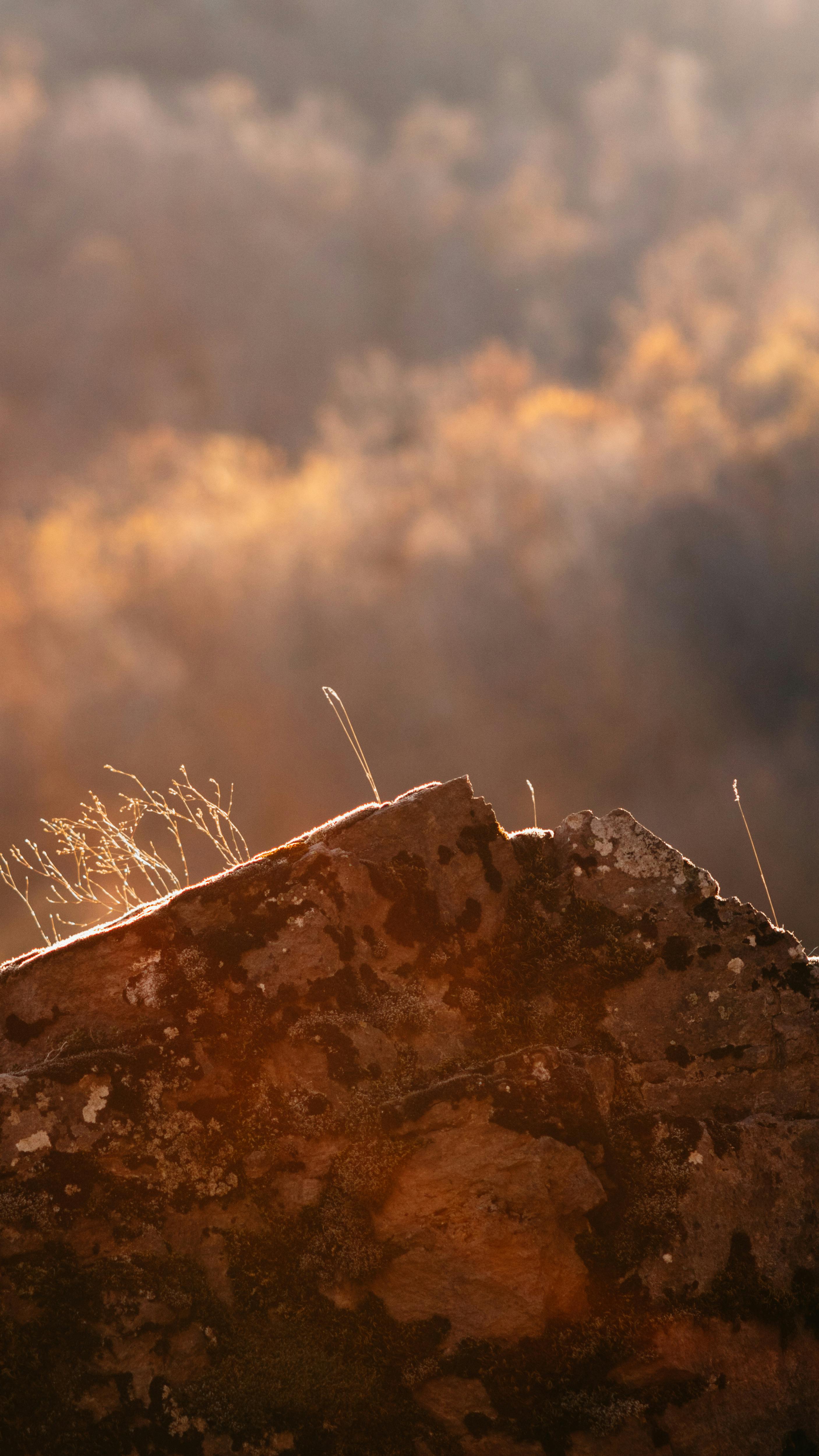 Close-up of a Cliff Surface · Free Stock Photo