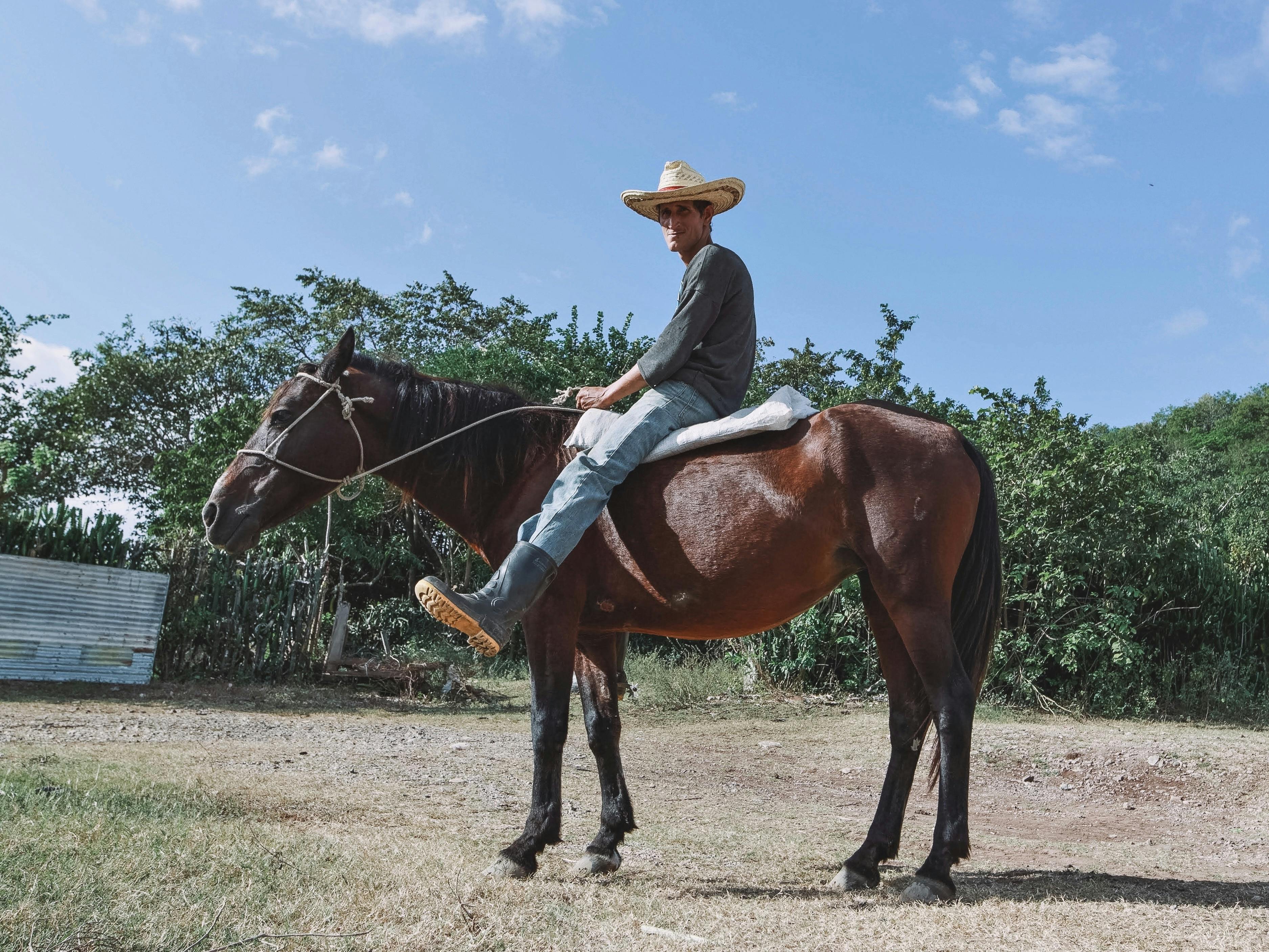 A man in a cowboy hat riding a horse · Free Stock Photo