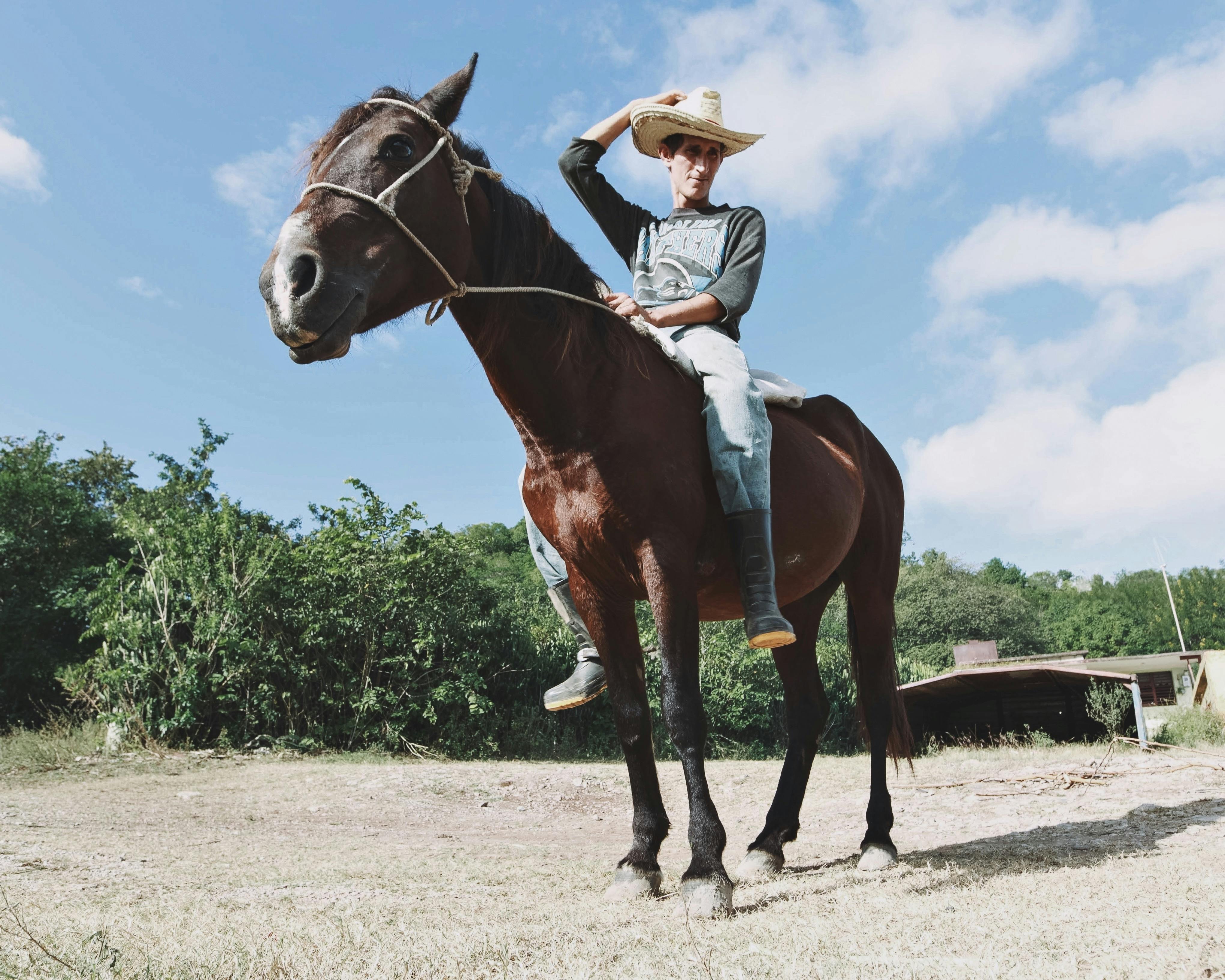 Cowboy with Hat on Chestnut Horse · Free Stock Photo