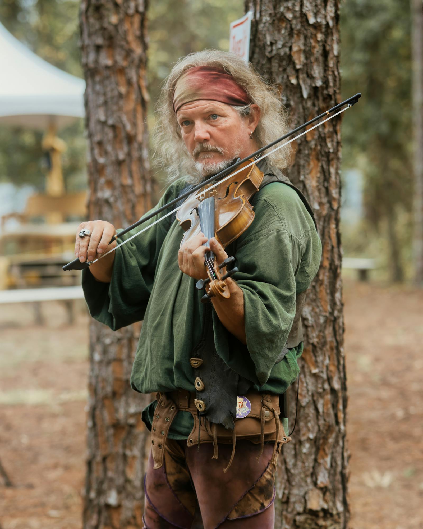 Fantasy Violin Photos, Download The BEST Free Fantasy Violin Stock ...