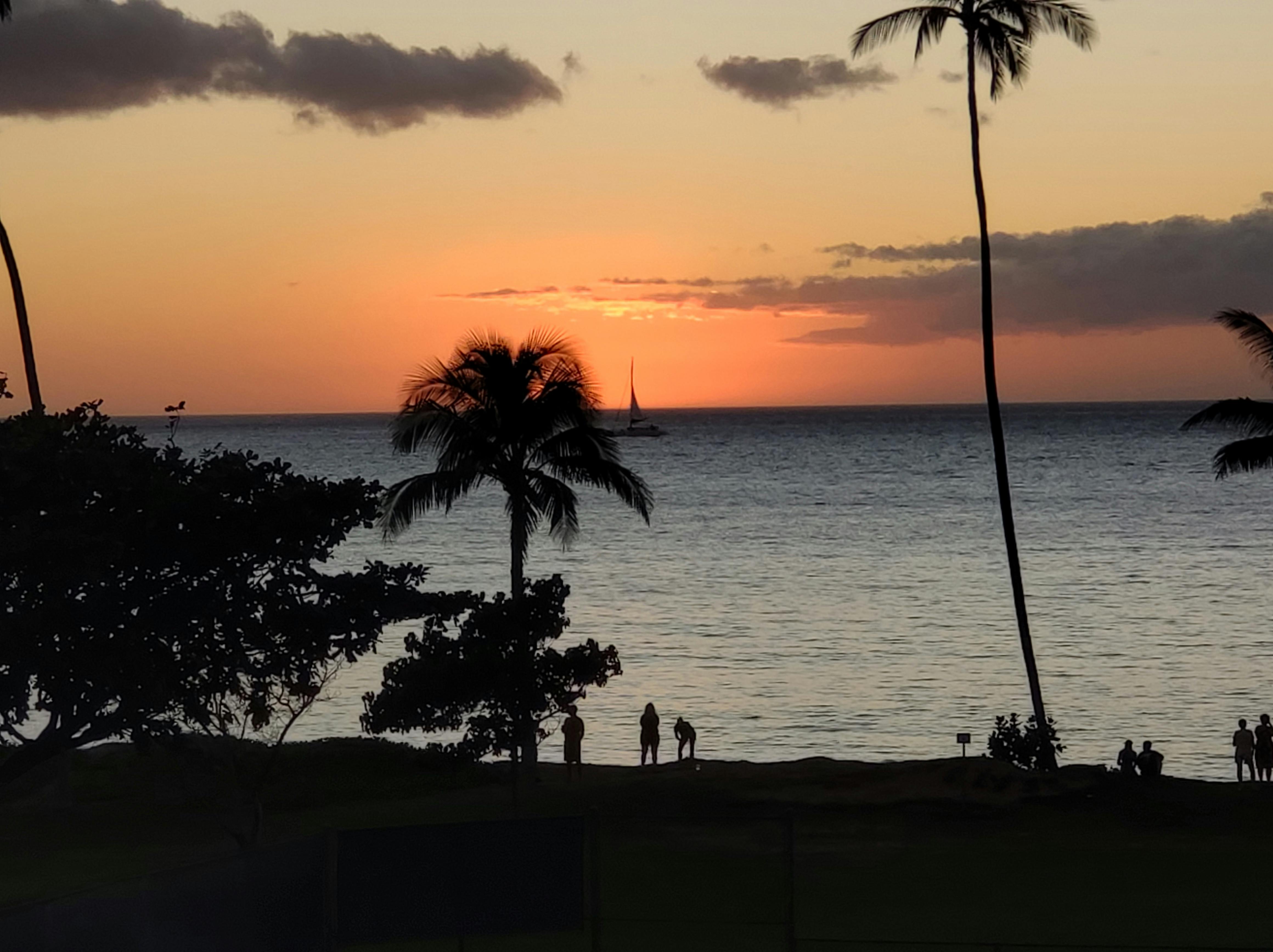 Heidi Gilbert - 摄影