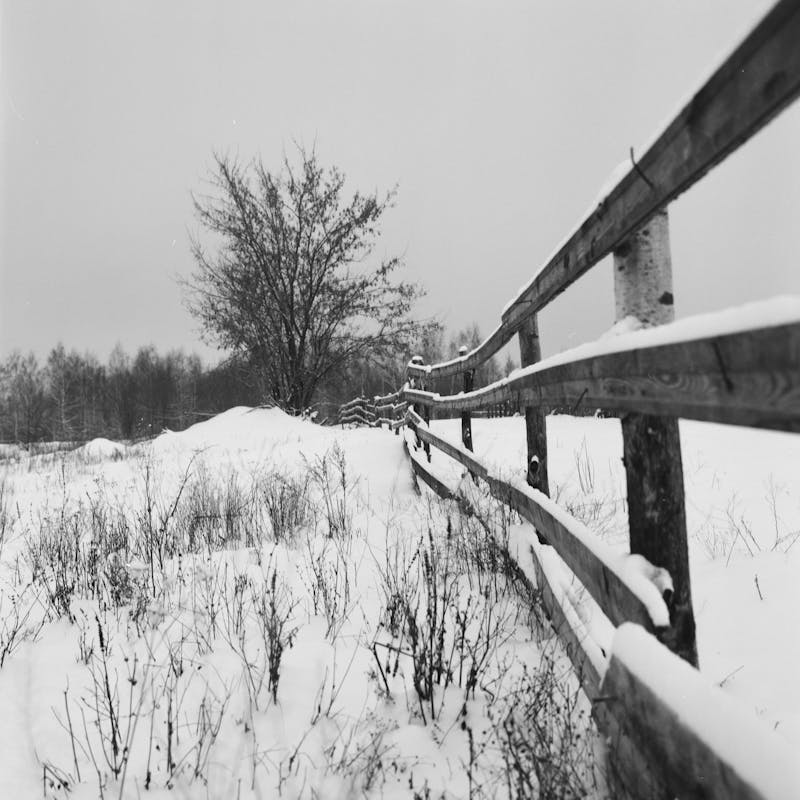 Rabbit Snow Wooden Fence Photos, Download The BEST Free Rabbit Snow ...