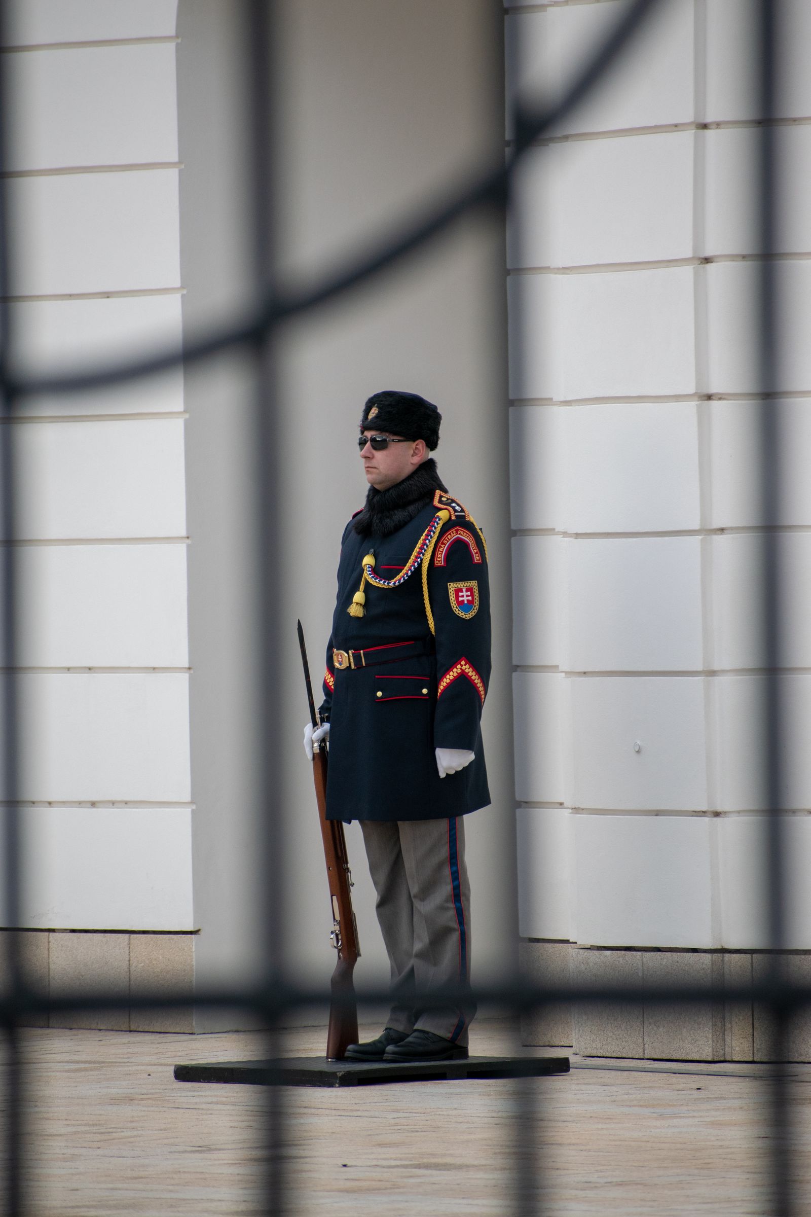 Napoleon Army Soldier Bratislava Photos, Download The BEST Free ...