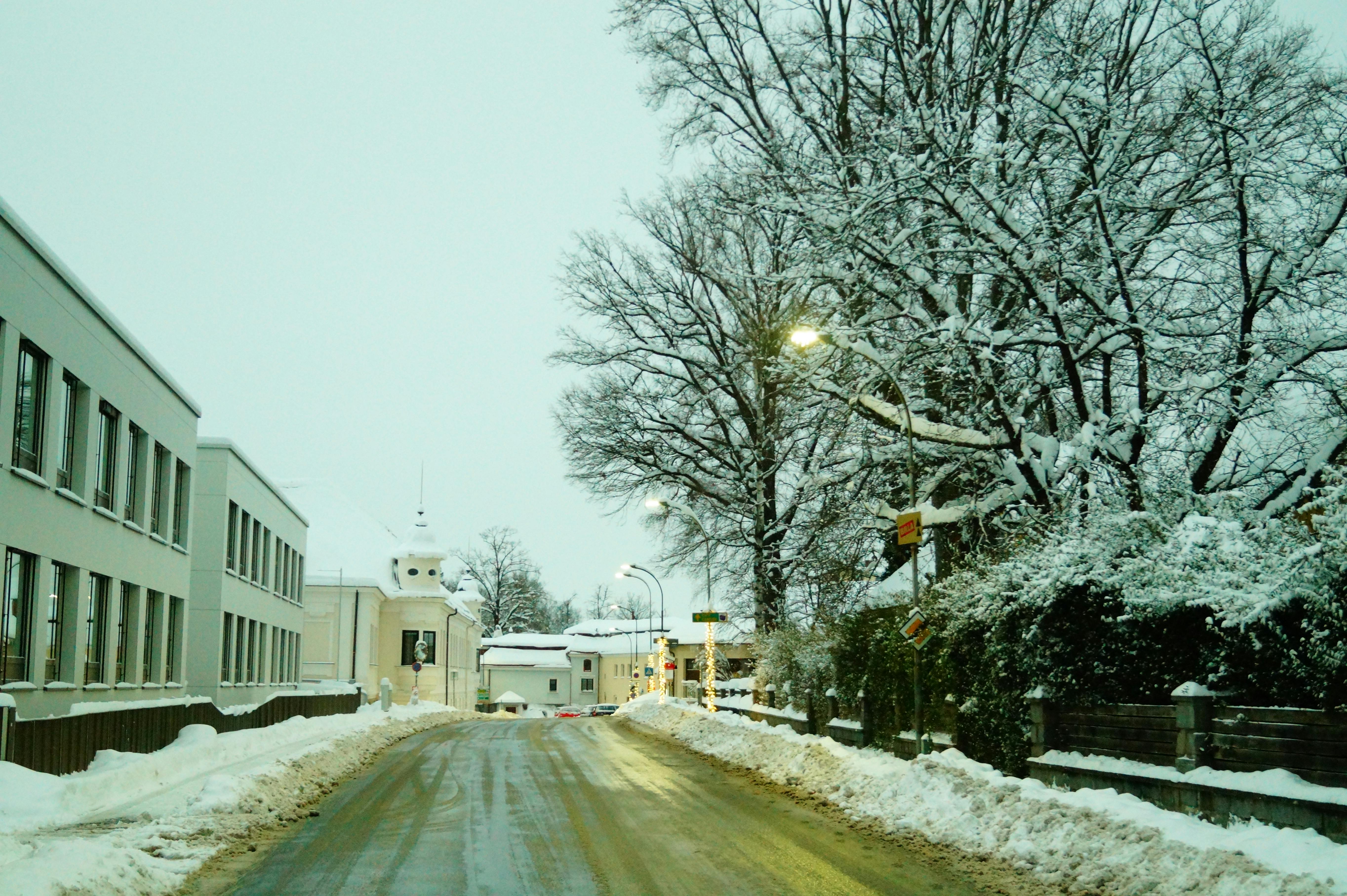 Kis Photos, Download The BEST Free Kis Stock Photos & HD Images