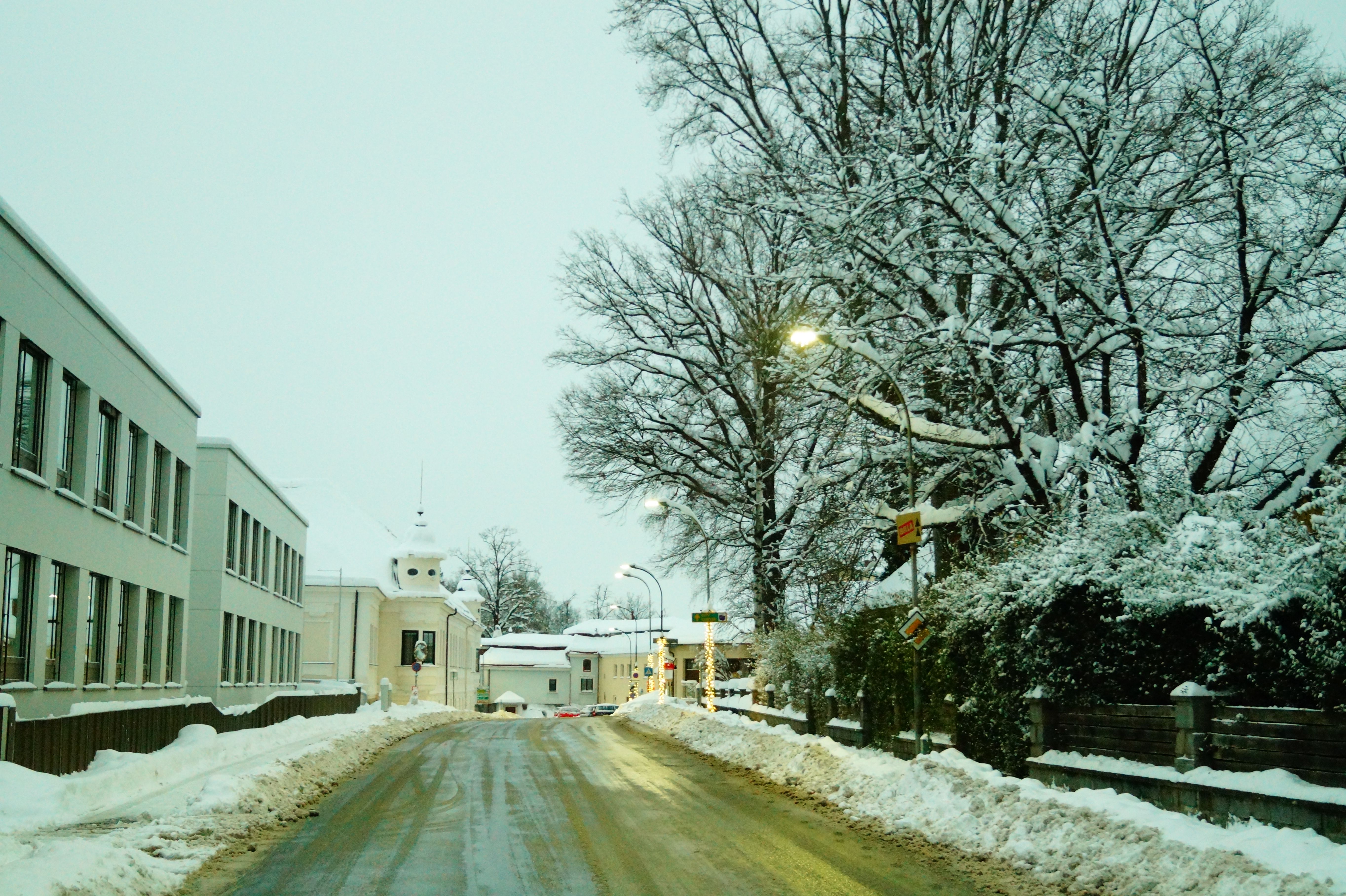 Wet Street in City in Winter · Free Stock Photo
