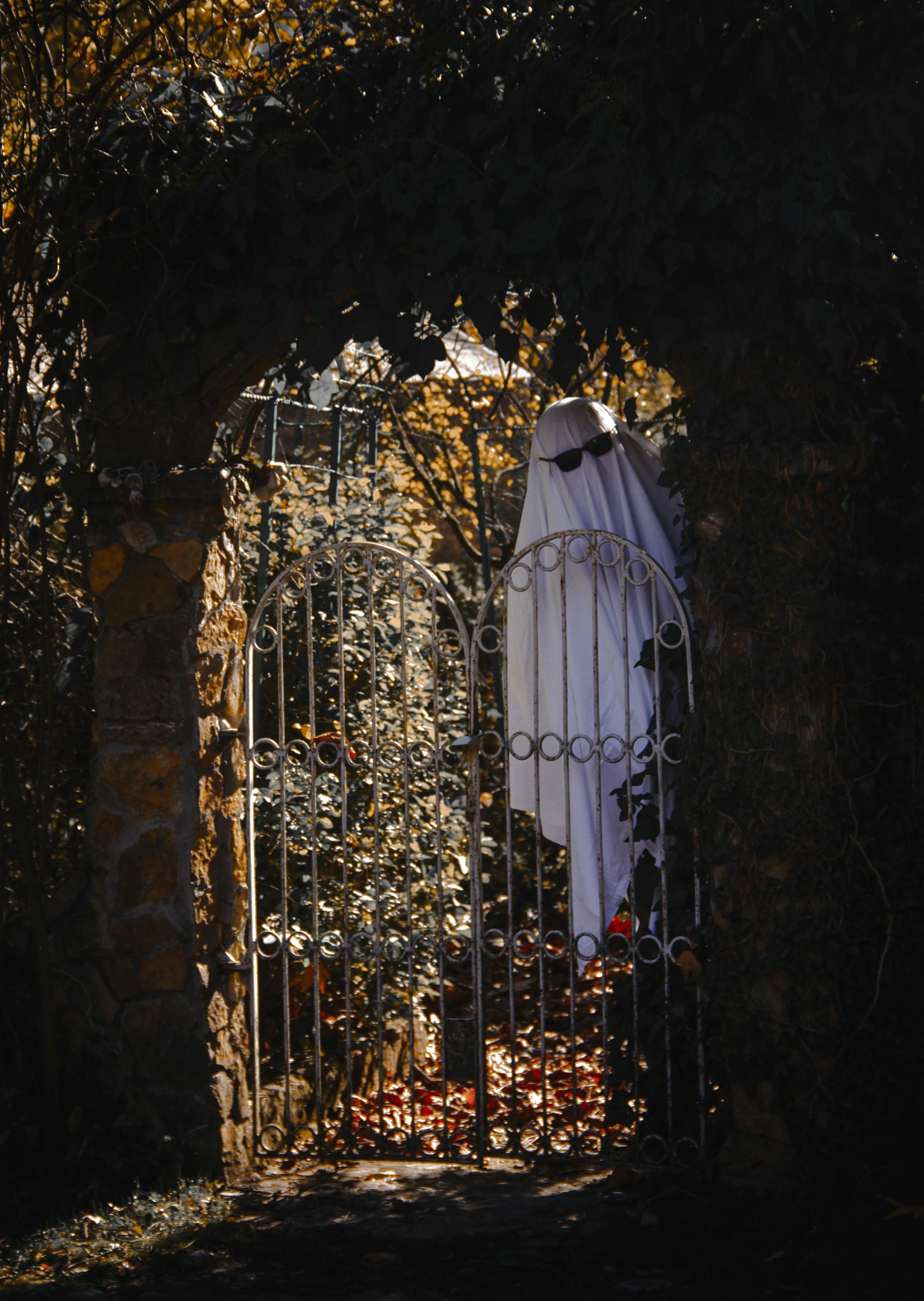Person in Ghost Costume in Black and White · Free Stock Photo