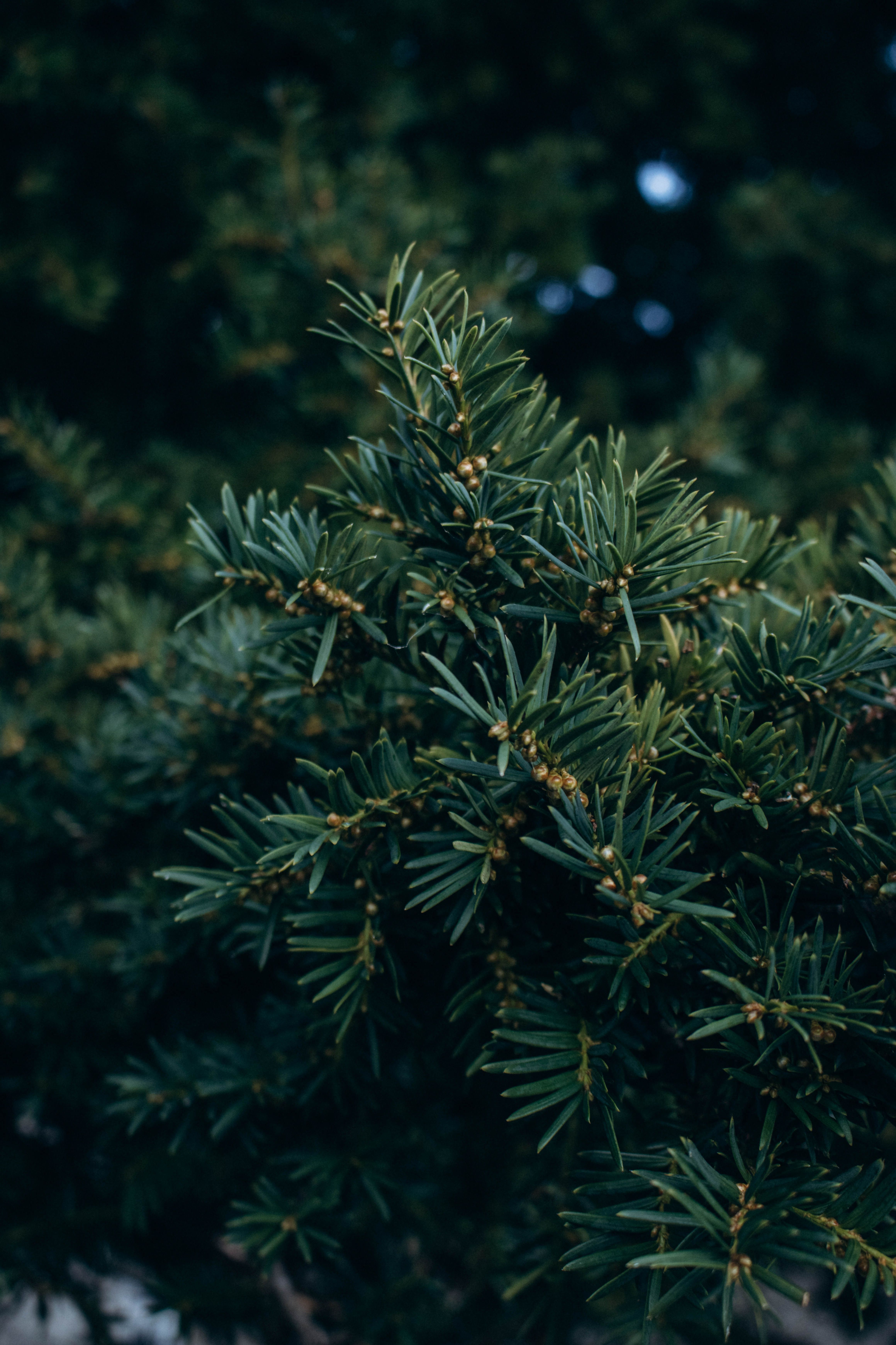 4k Wallpaper Intersteller Photos, Download The BEST Free 4k Wallpaper ...