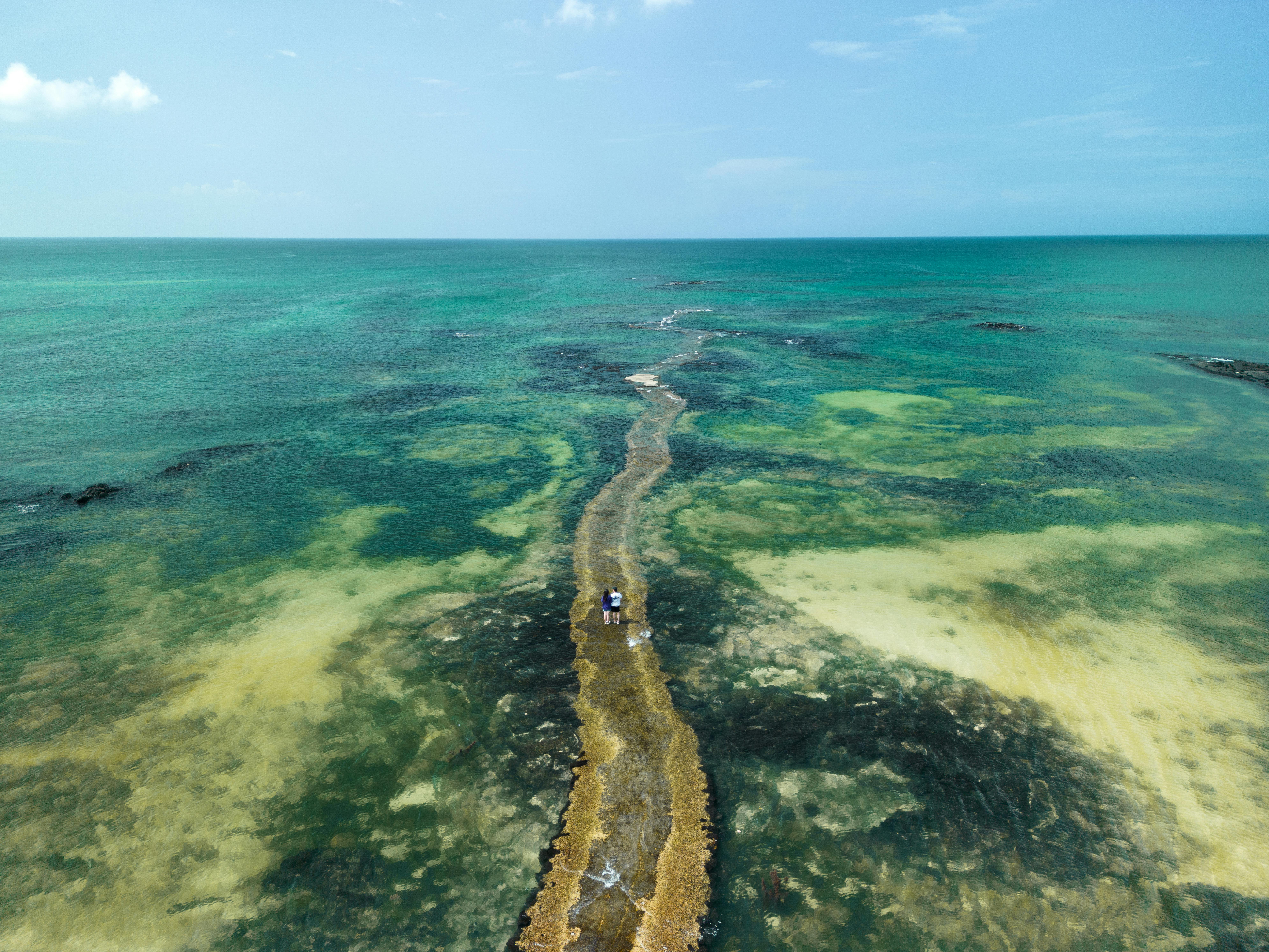 Aerial View of an Embankment on the Sea · Free Stock Photo
