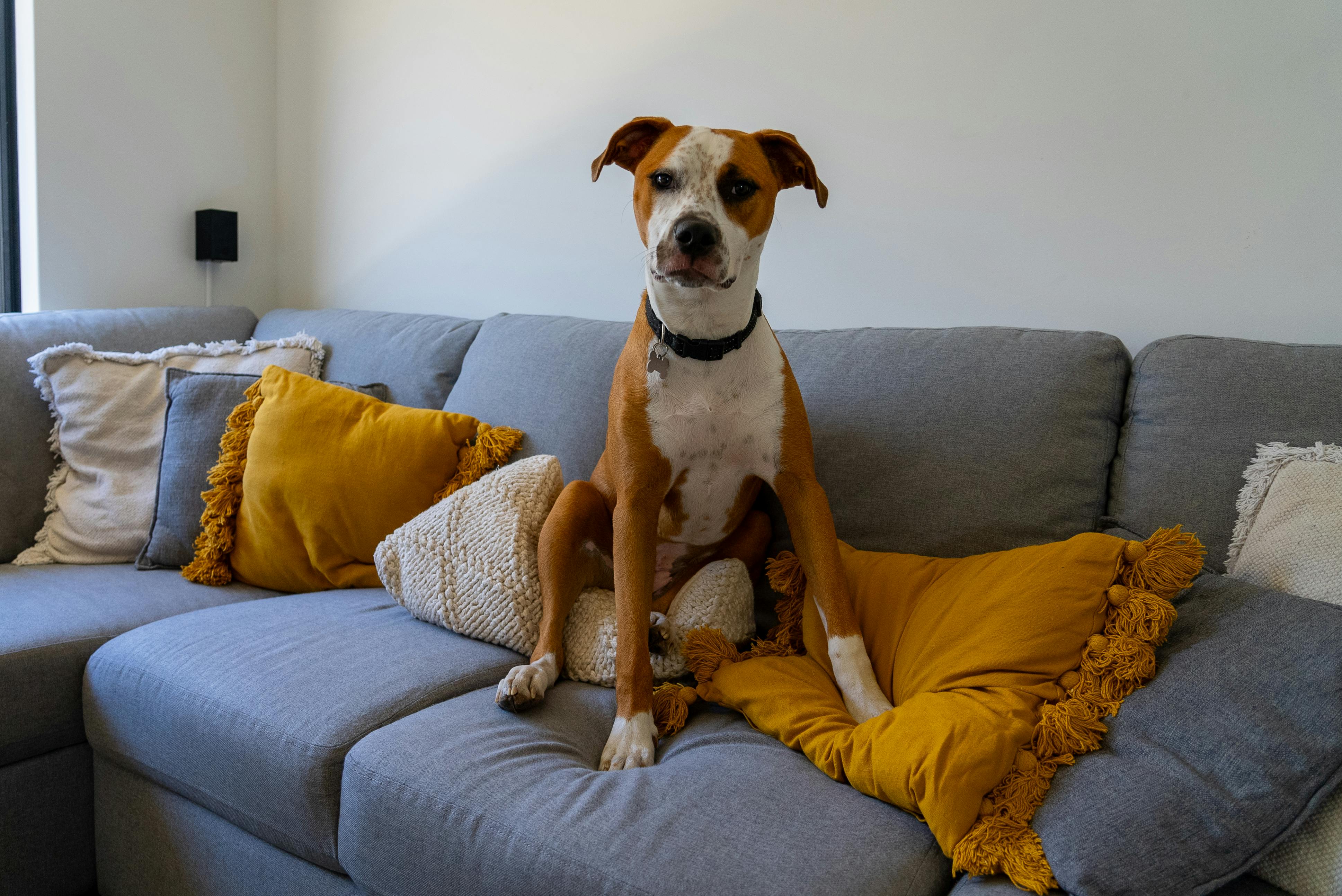 Zane Holmes - Photography