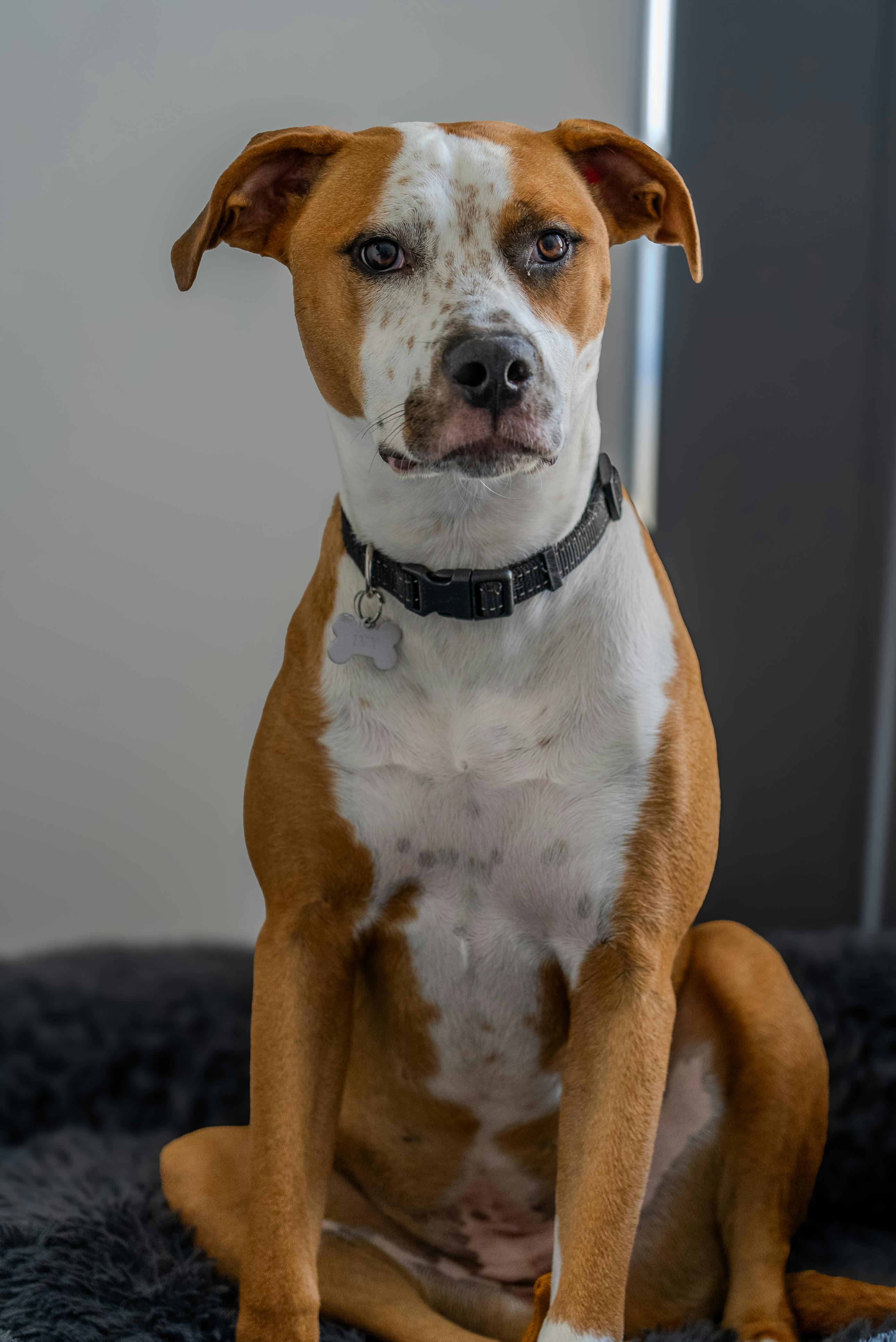 Zane Holmes - Photography