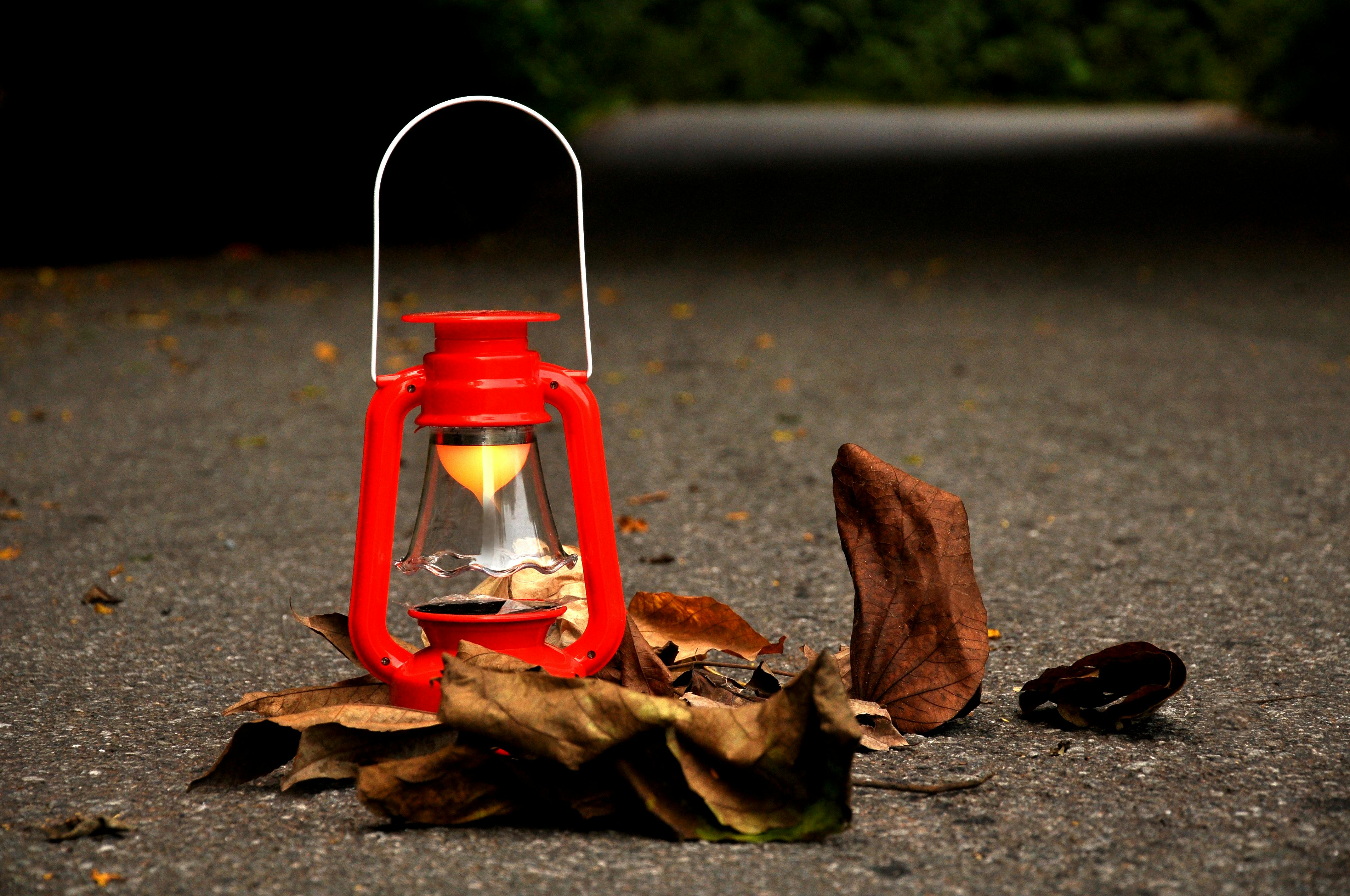 Kerosene Lamp and Fallen Leaves on Street · Free Stock Photo