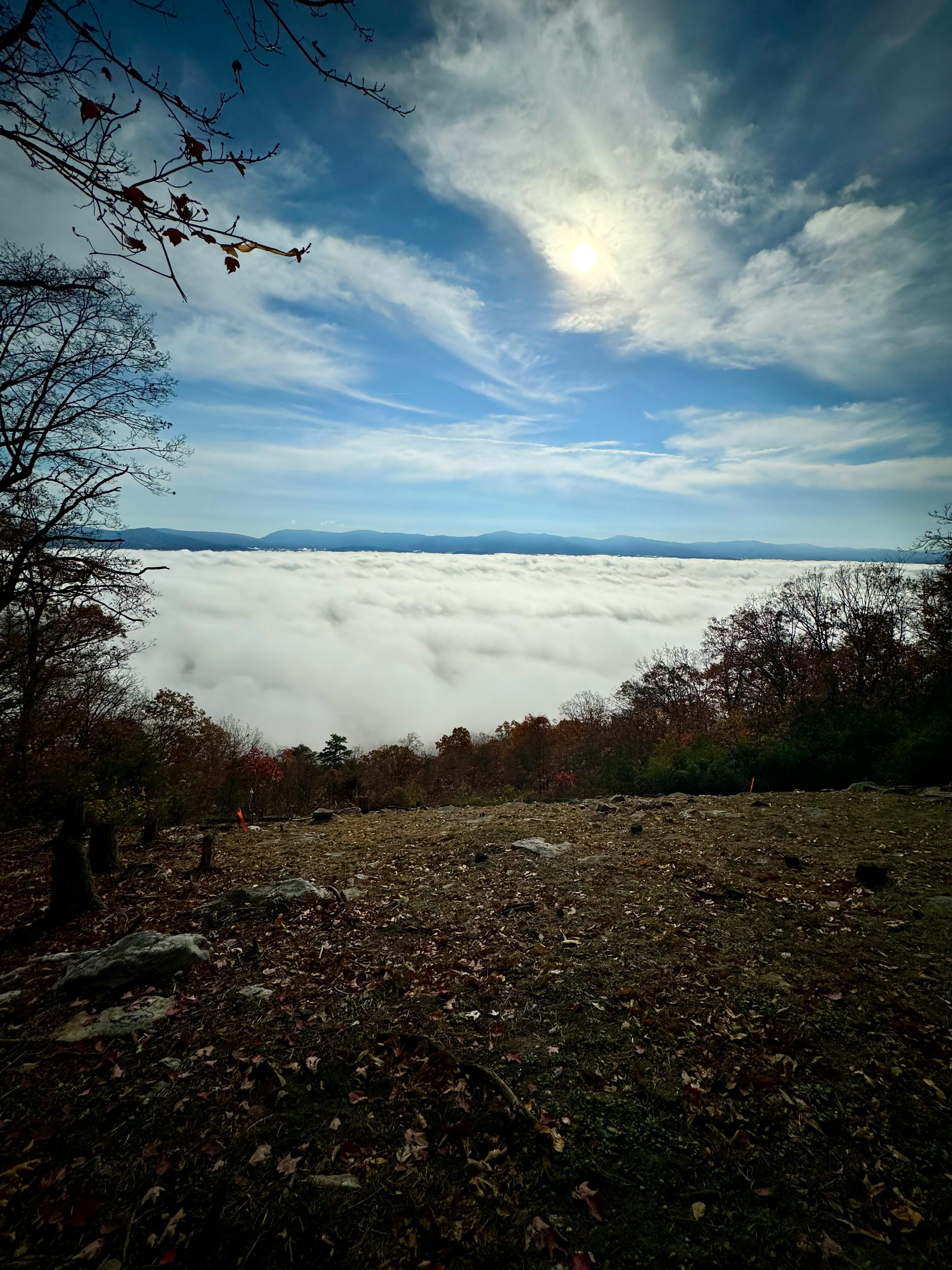 Timothy Varley - Fotografía