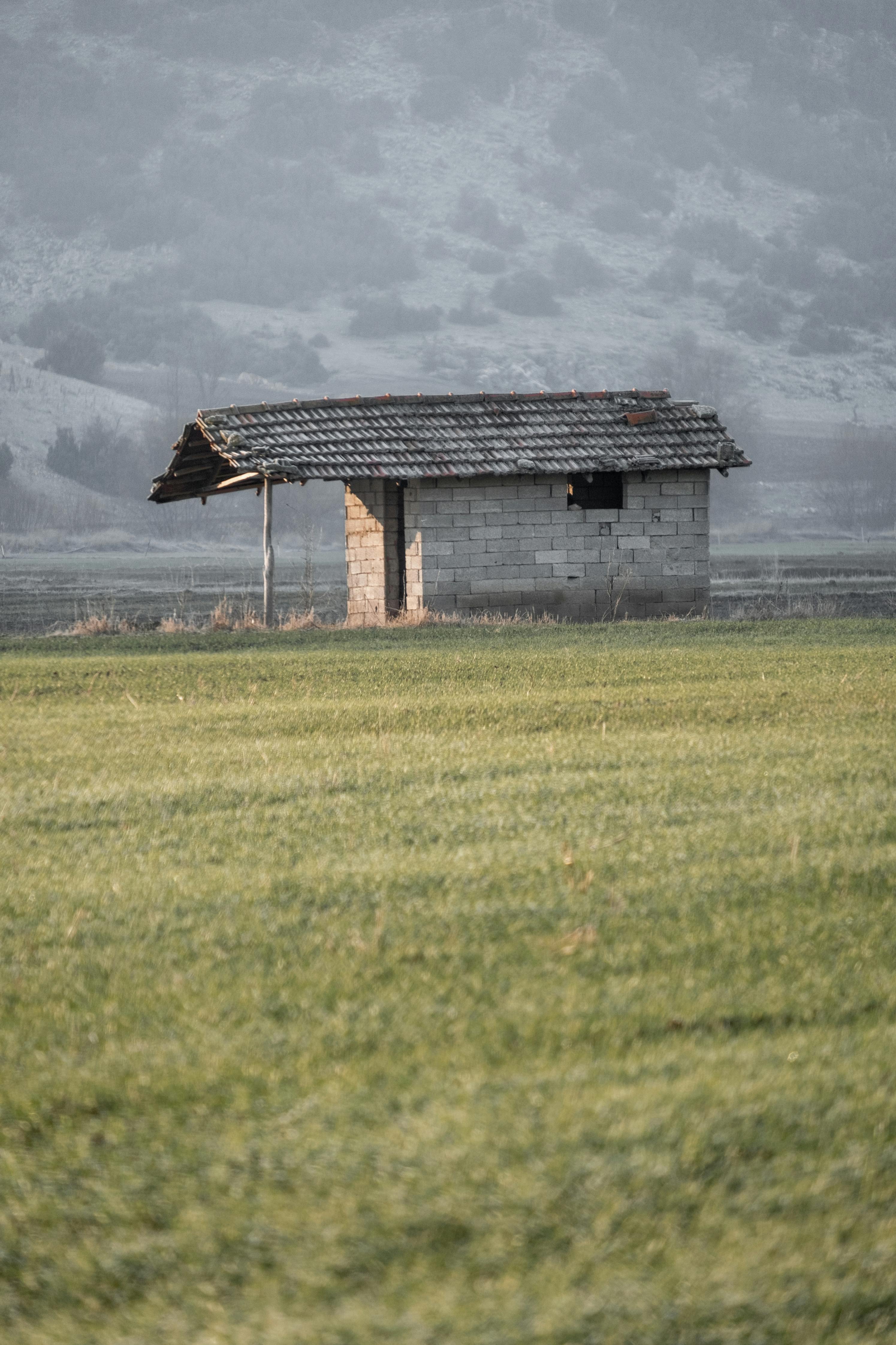 Grass in front of an Abandoned Shack · Free Stock Photo