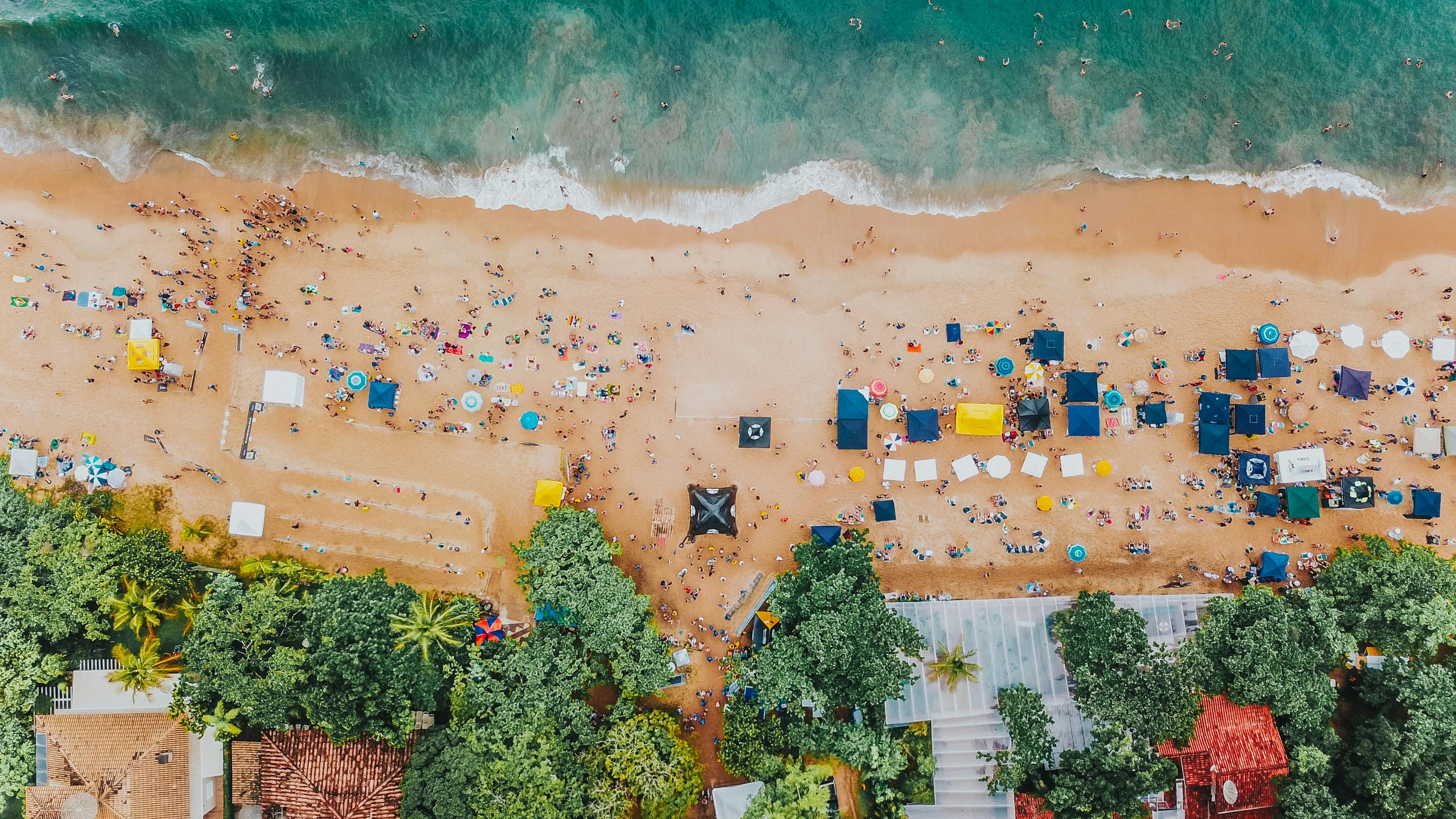 Bird's Eye View Photography of Beach Line · Free Stock Photo