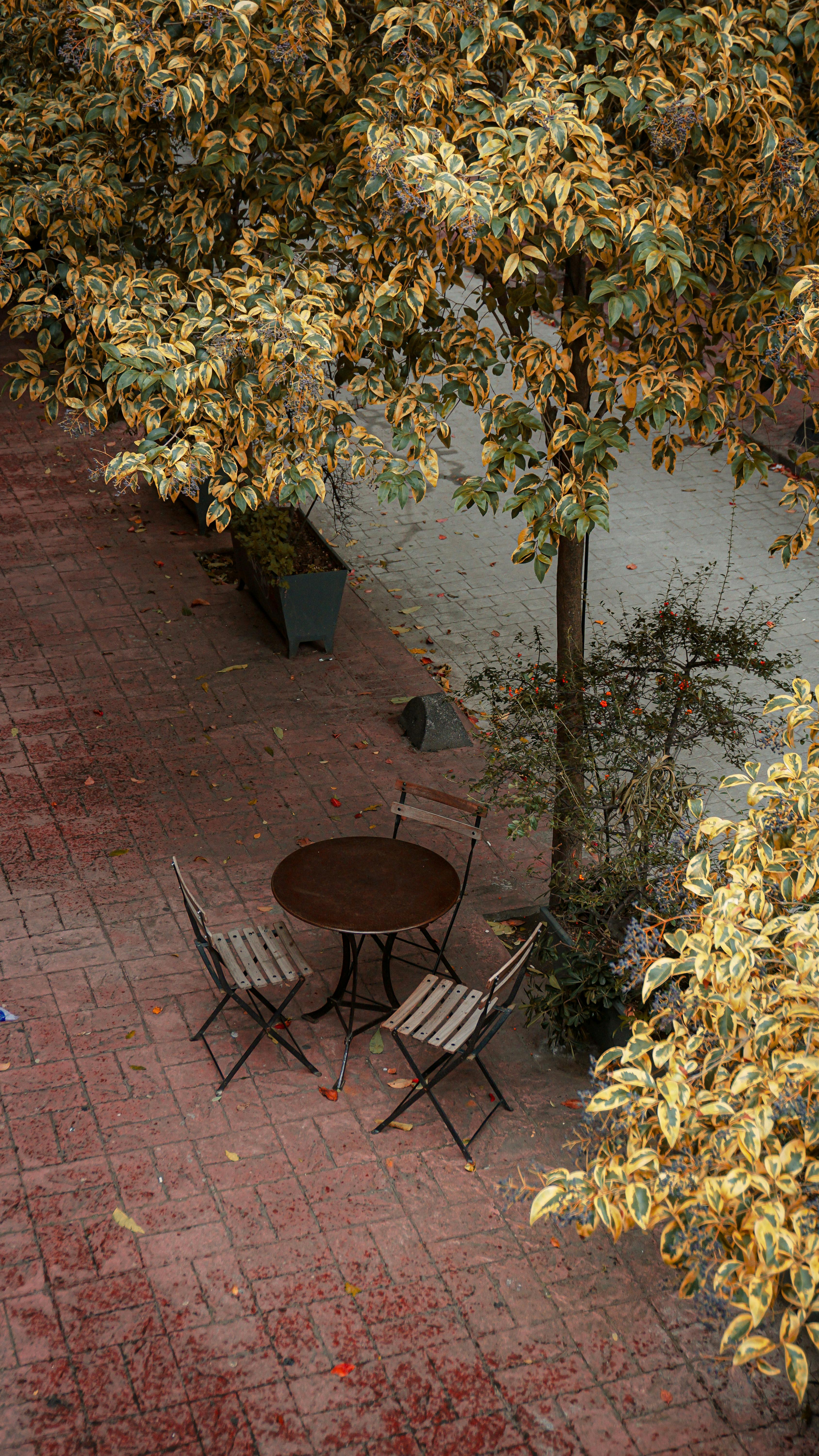 Fall Table Photos, Download The BEST Free Fall Table Stock Photos & HD ...