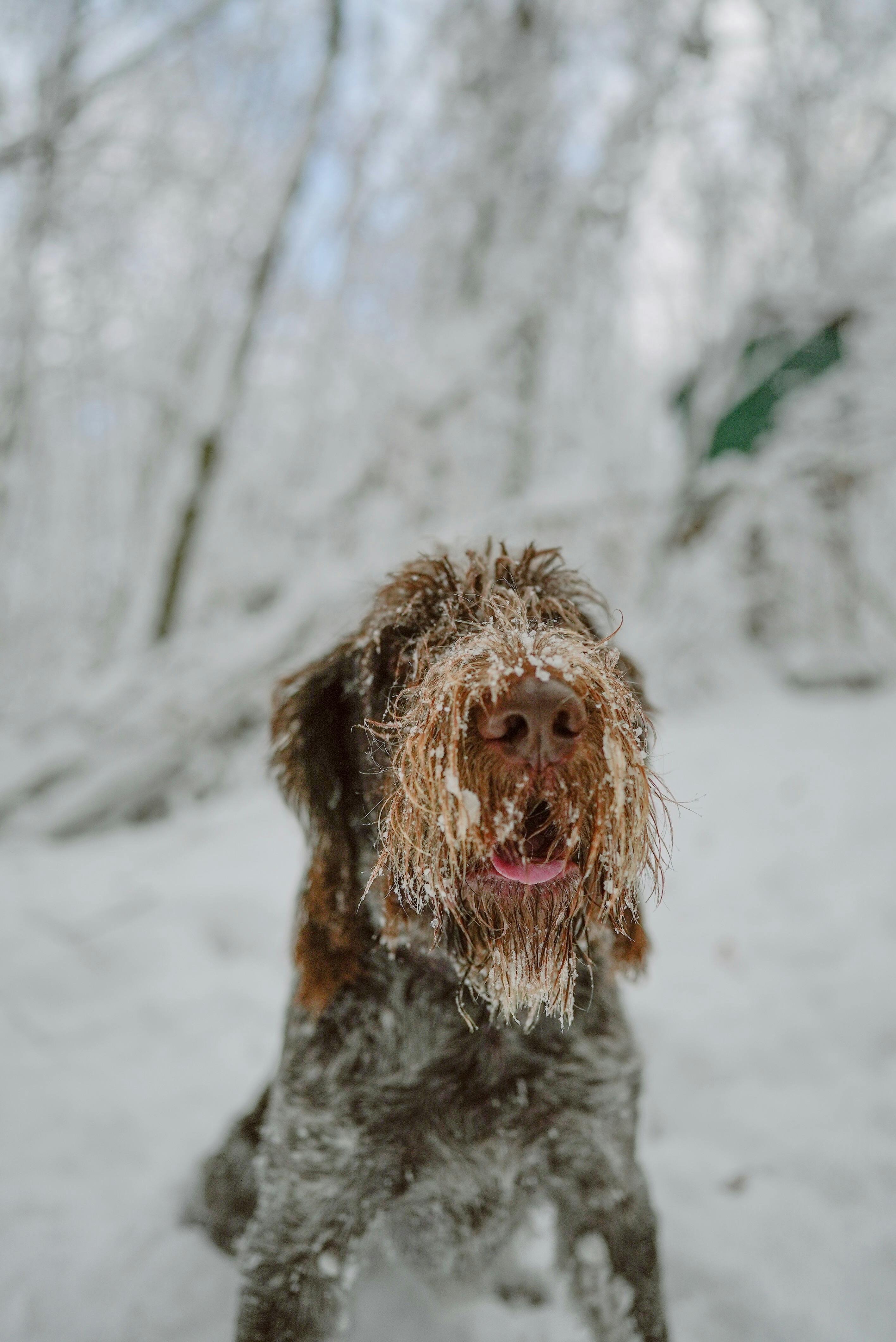 Head Phone Photos, Download The BEST Free Head Phone Stock Photos & HD ...