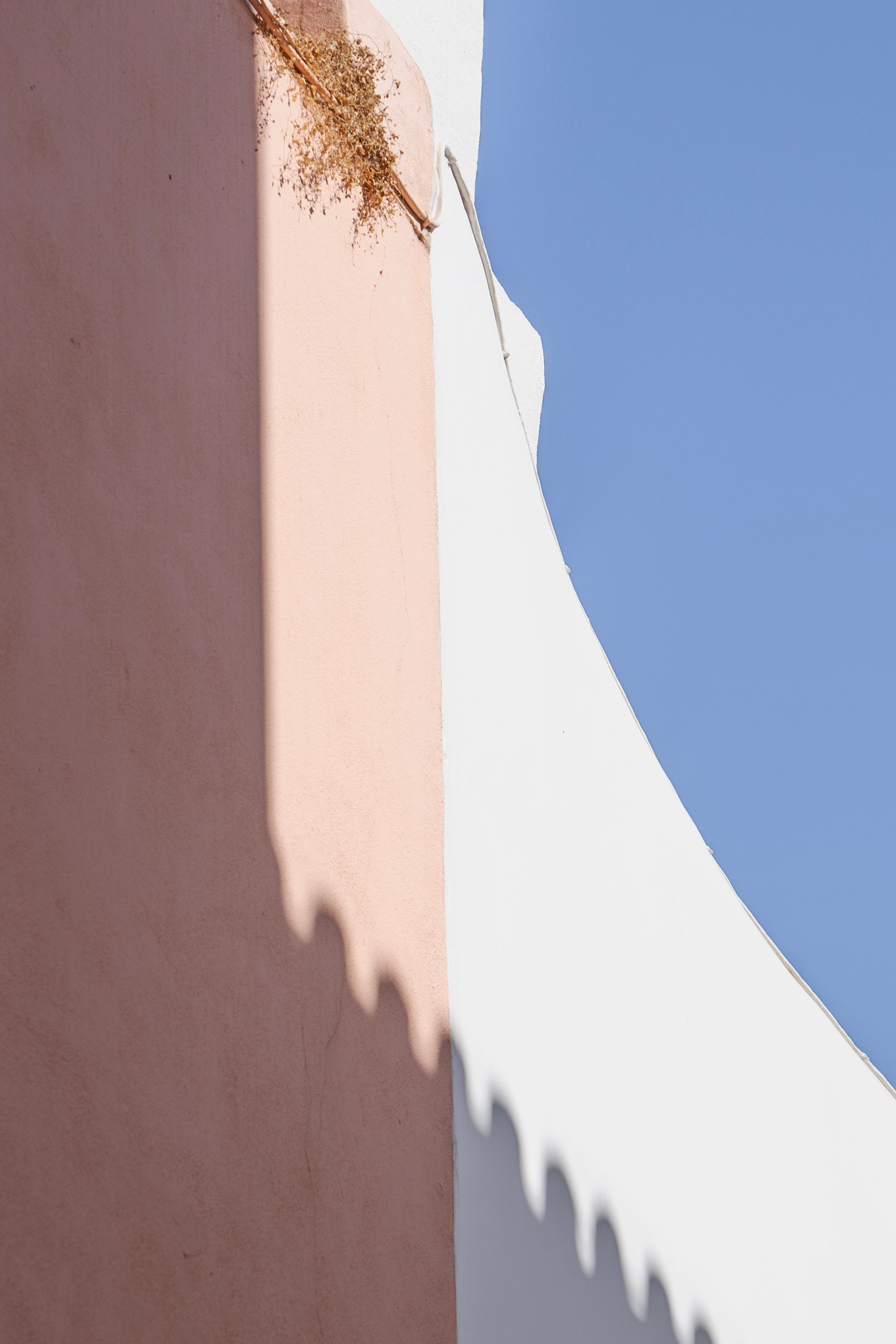 Peach Structure Photos, Download The BEST Free Peach Structure Stock ...