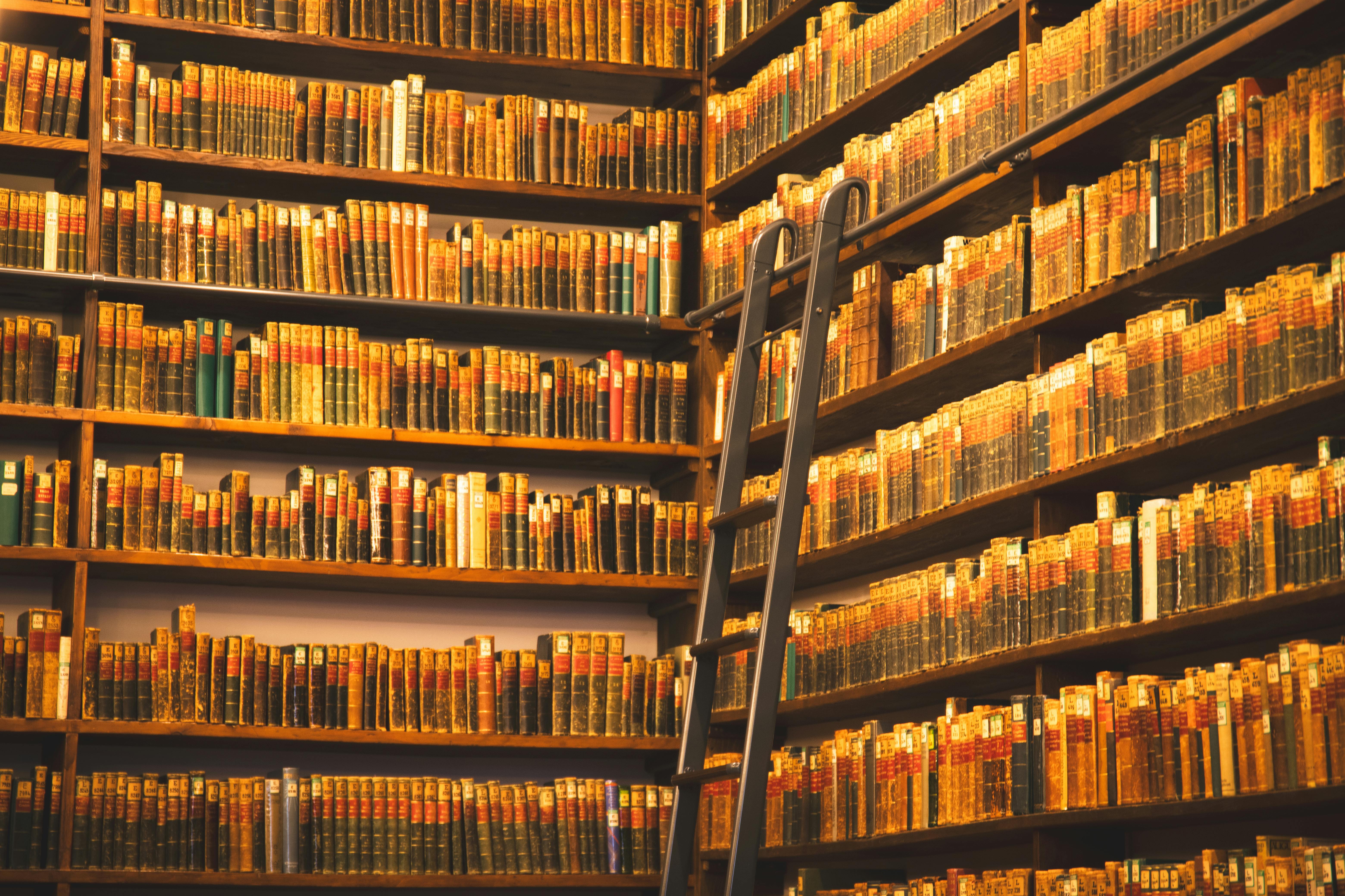 Library Interior · Free Stock Photo