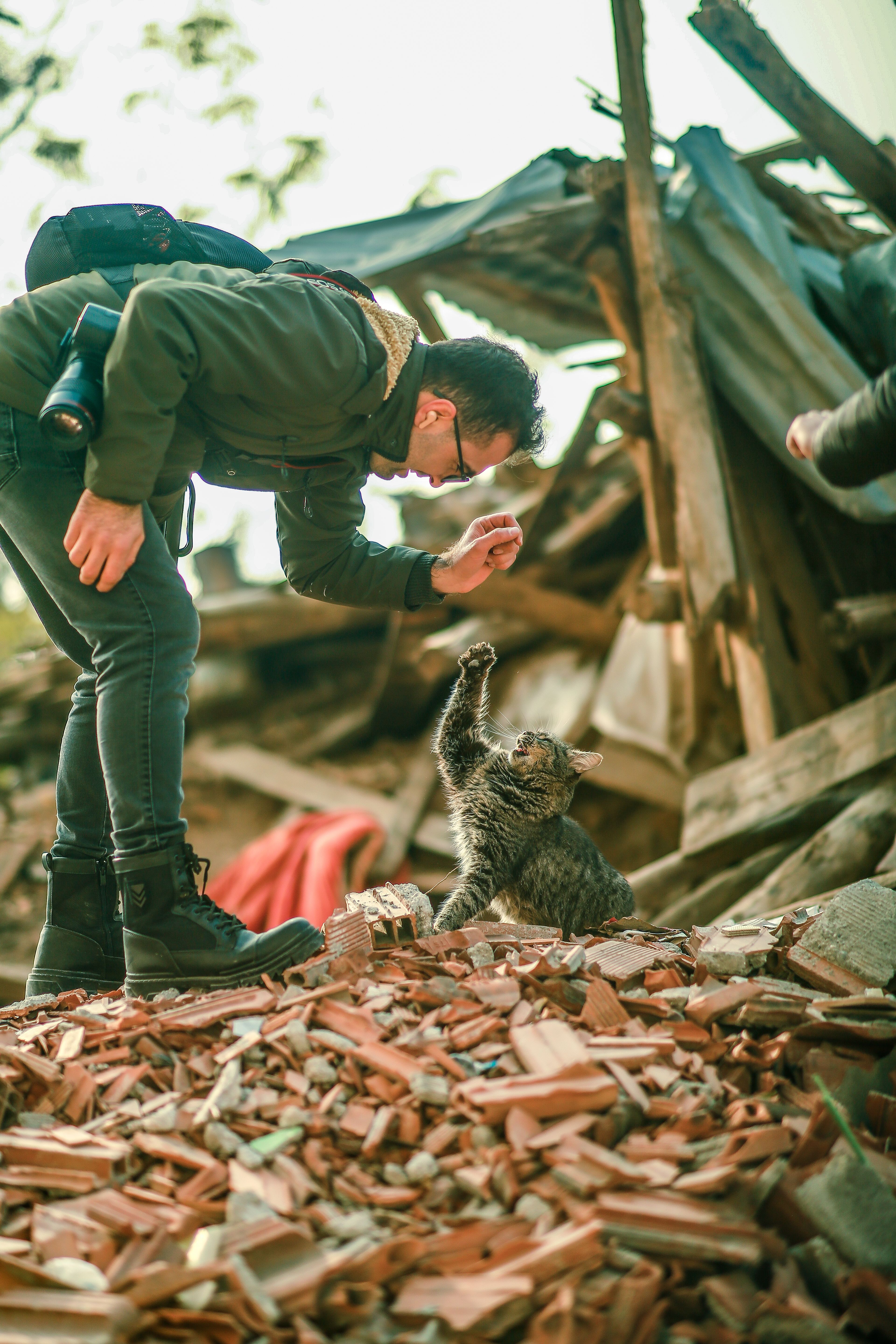 Animals In Survival Situation Photos, Download The BEST Free Animals In ...