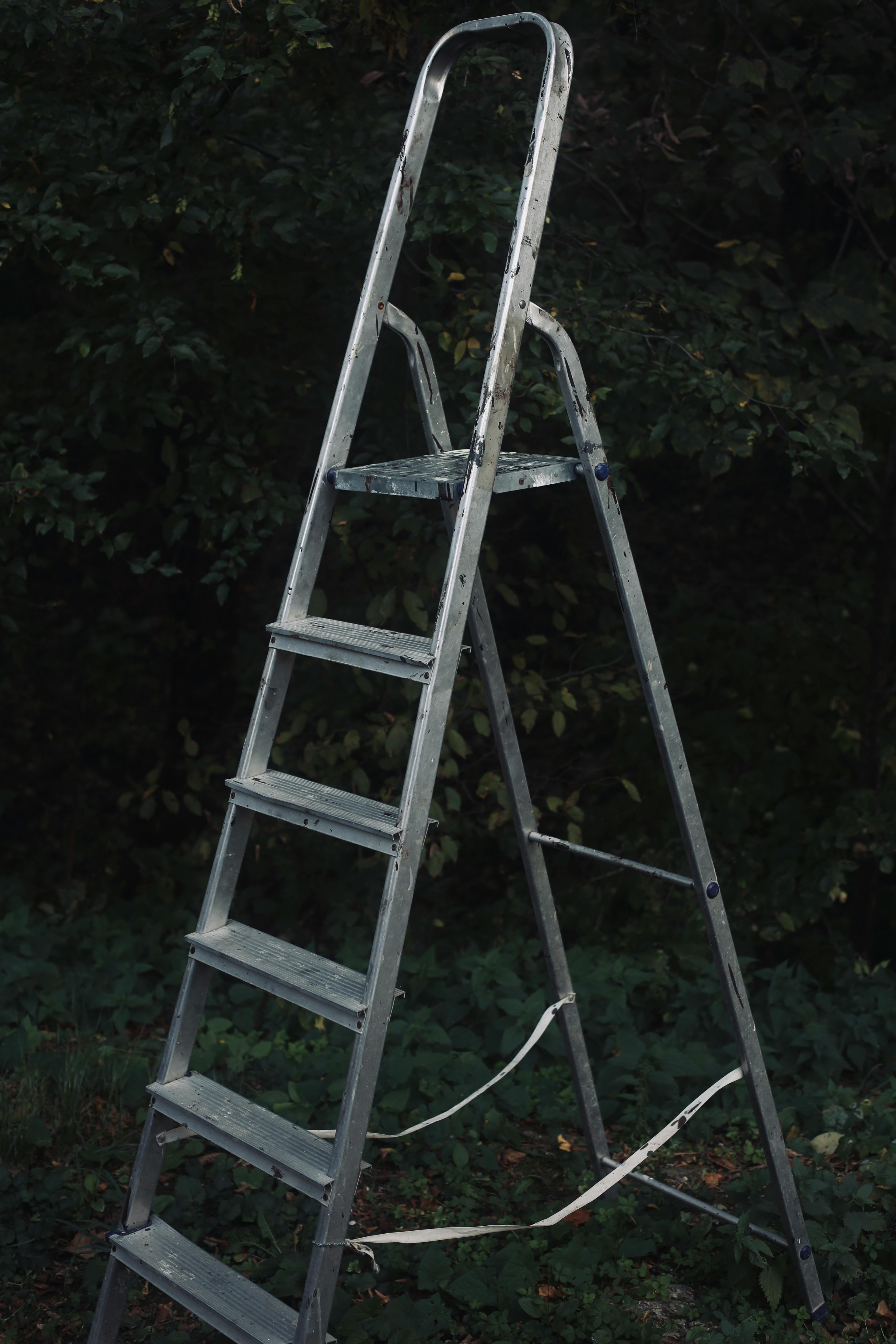Ladder Dark Photos, Download The BEST Free Ladder Dark Stock Photos ...