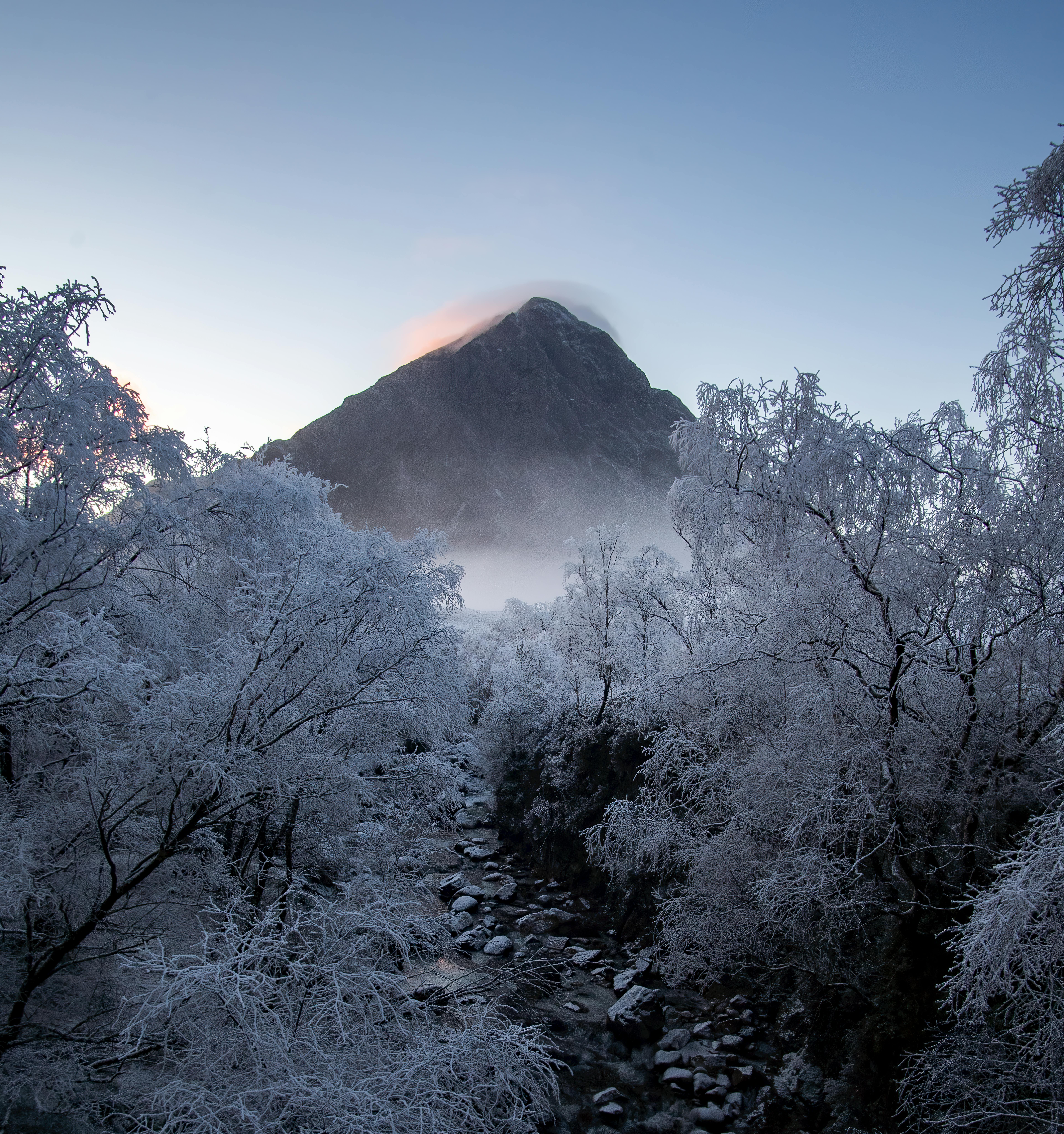 Ice and Snow on a River in the Forest · Free Stock Photo