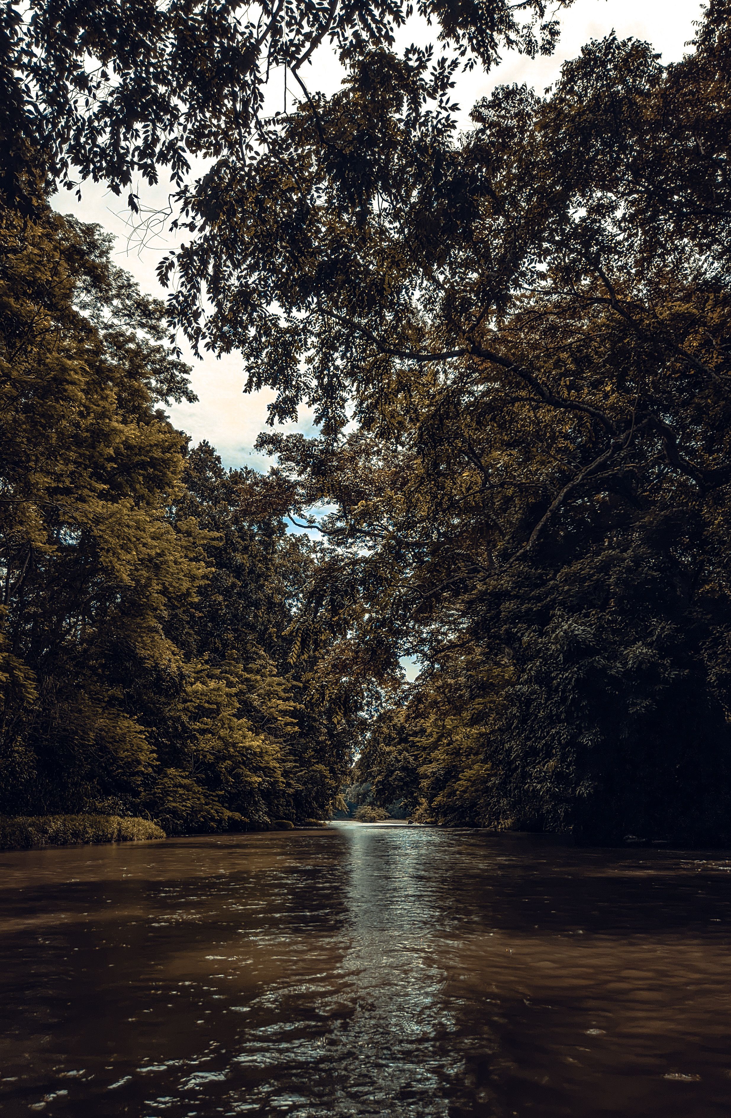 Scenic View of a River in Autumn · Free Stock Photo