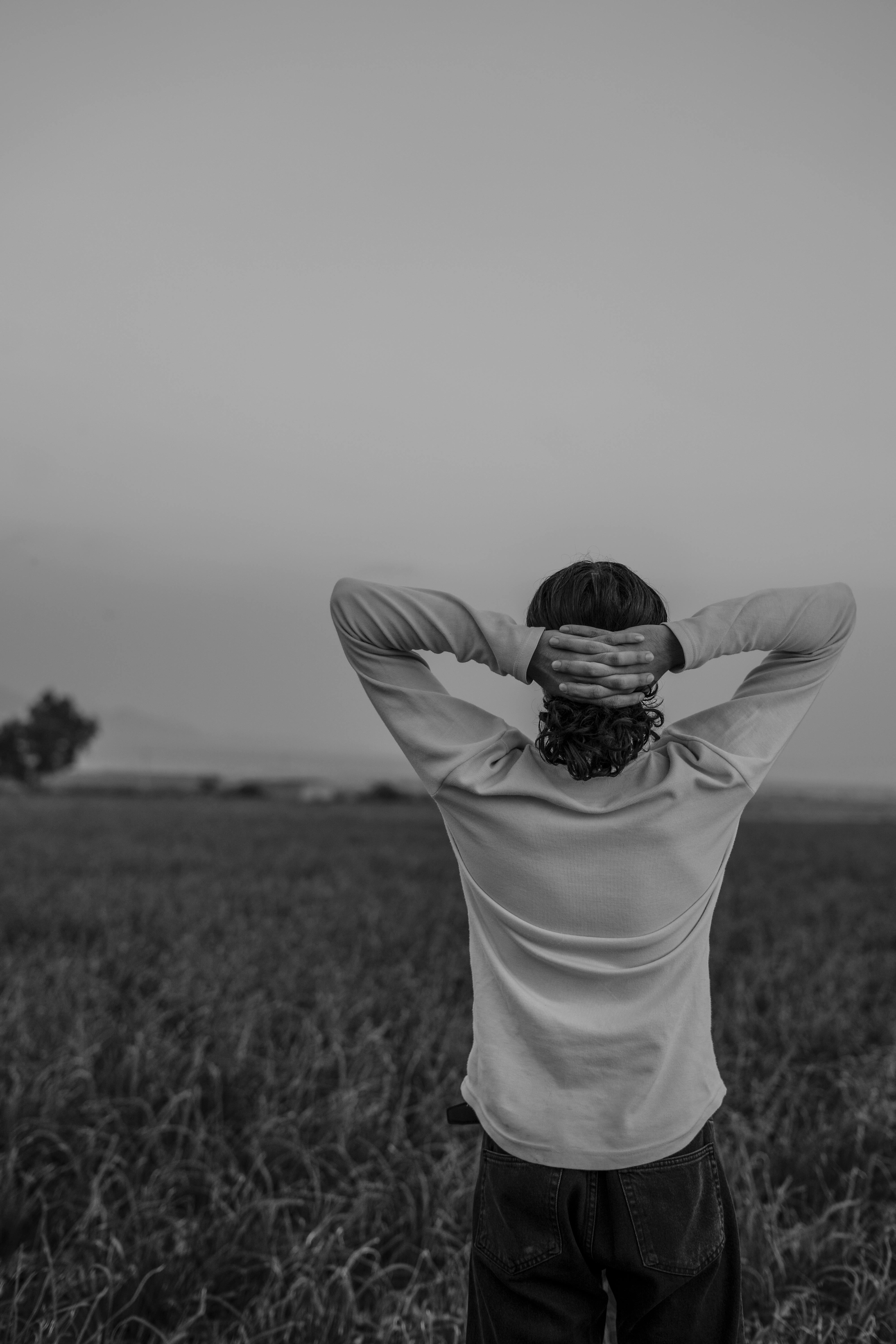 Foto de stock gratuita sobre agricultura, al aire libre, ambiente ...
