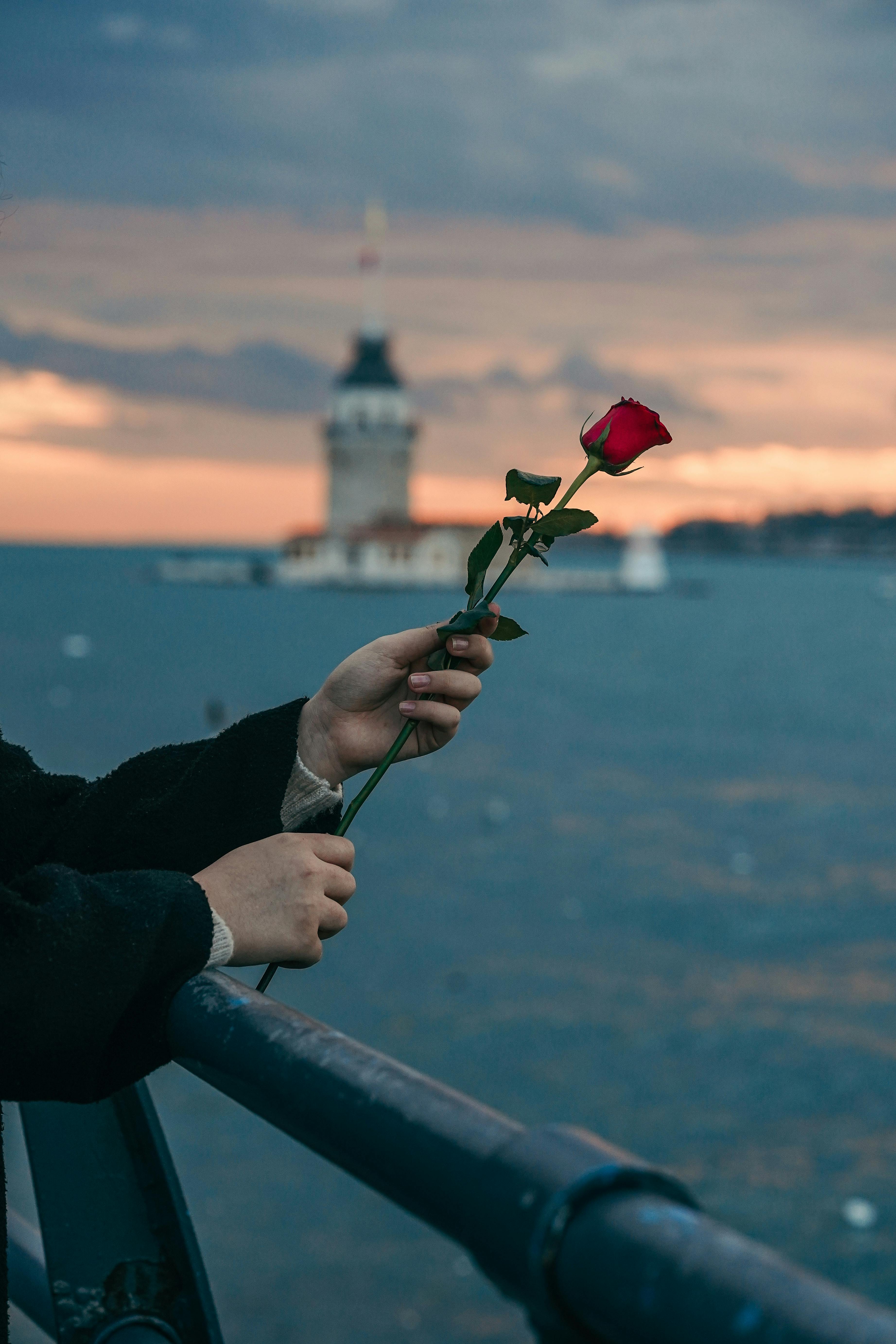 Hands Towering Photos, Download The BEST Free Hands Towering Stock ...