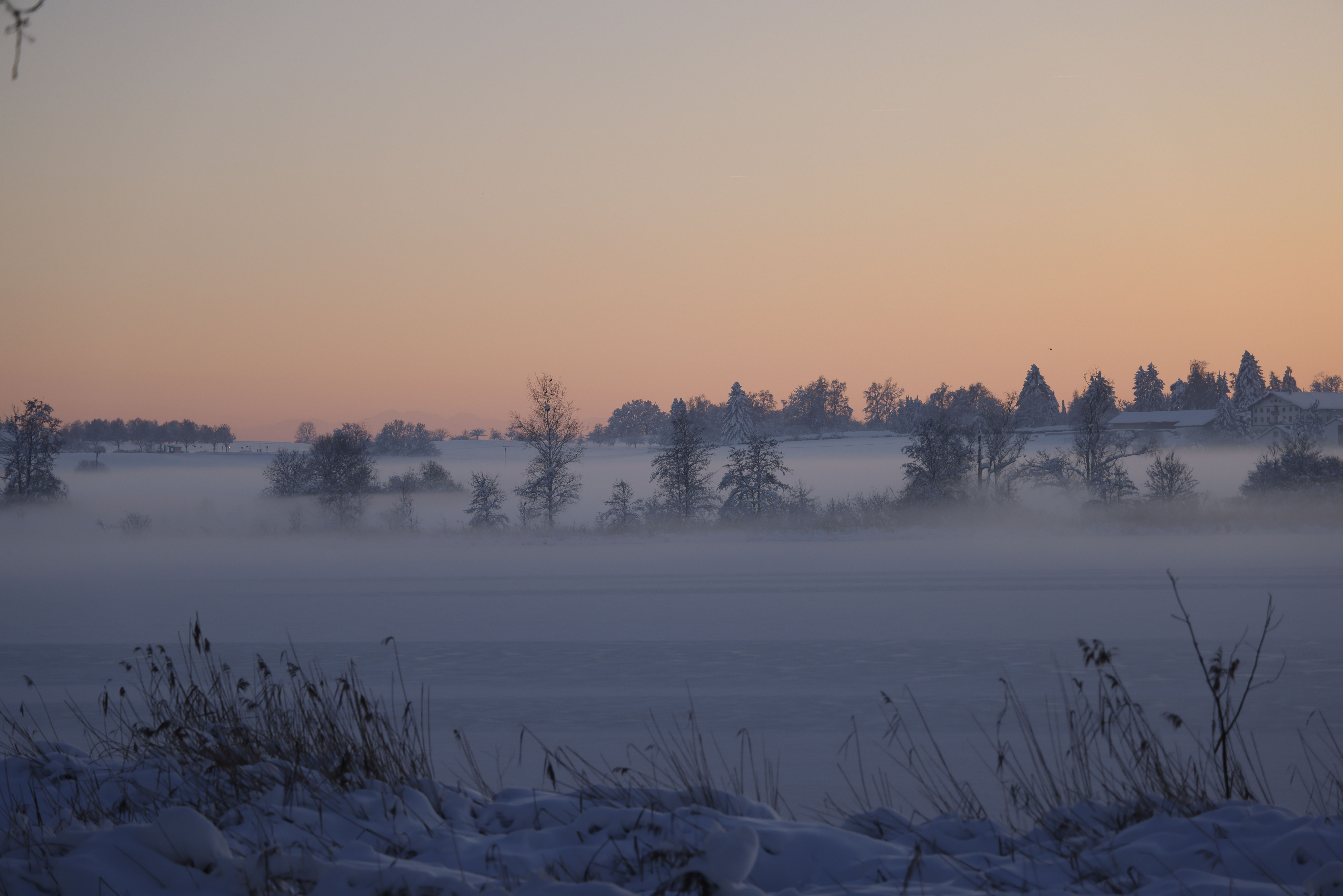 Snow and Fog in Countryside at Sunset · Free Stock Photo