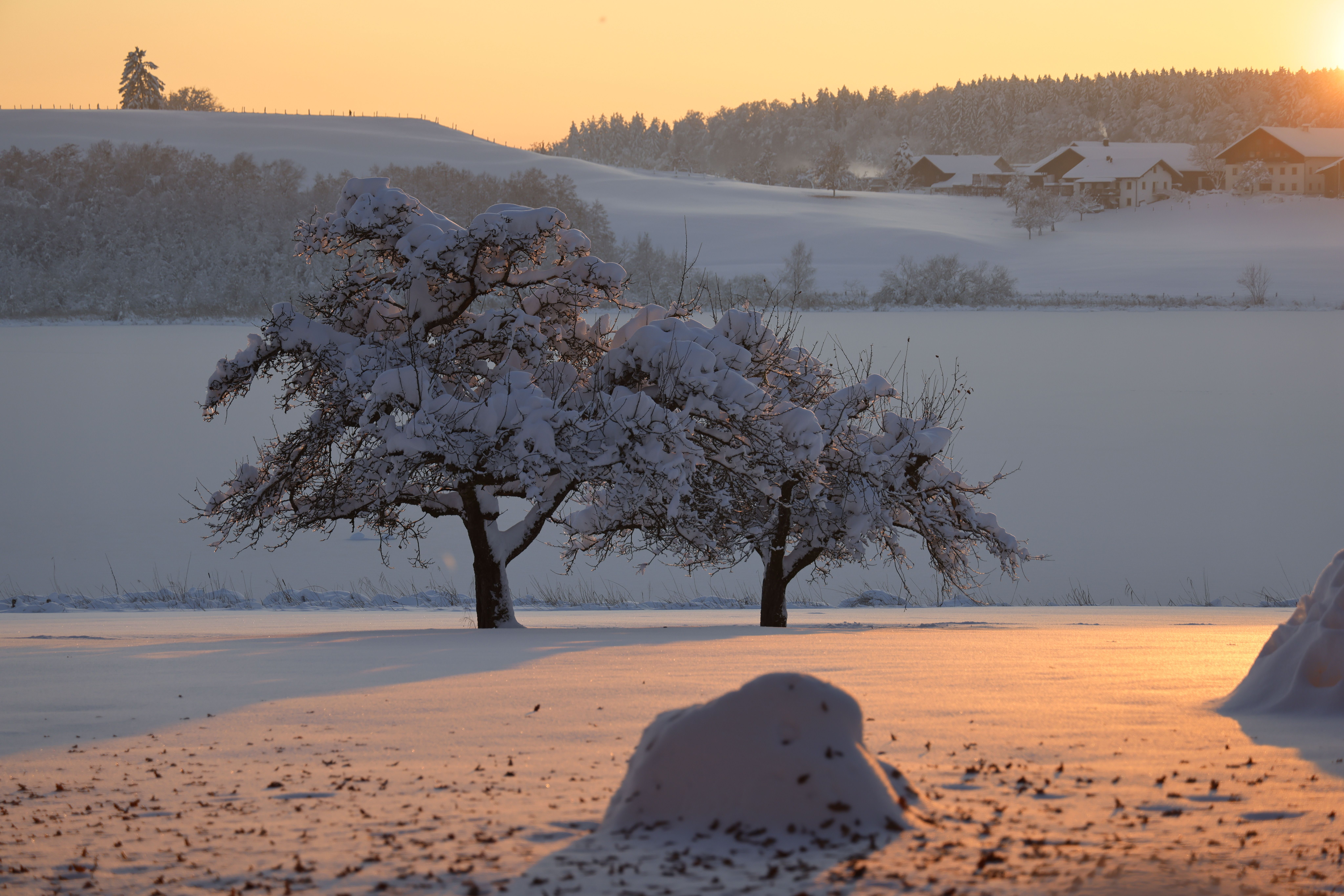 A Winter Countryside Landscape at Sunset · Free Stock Photo