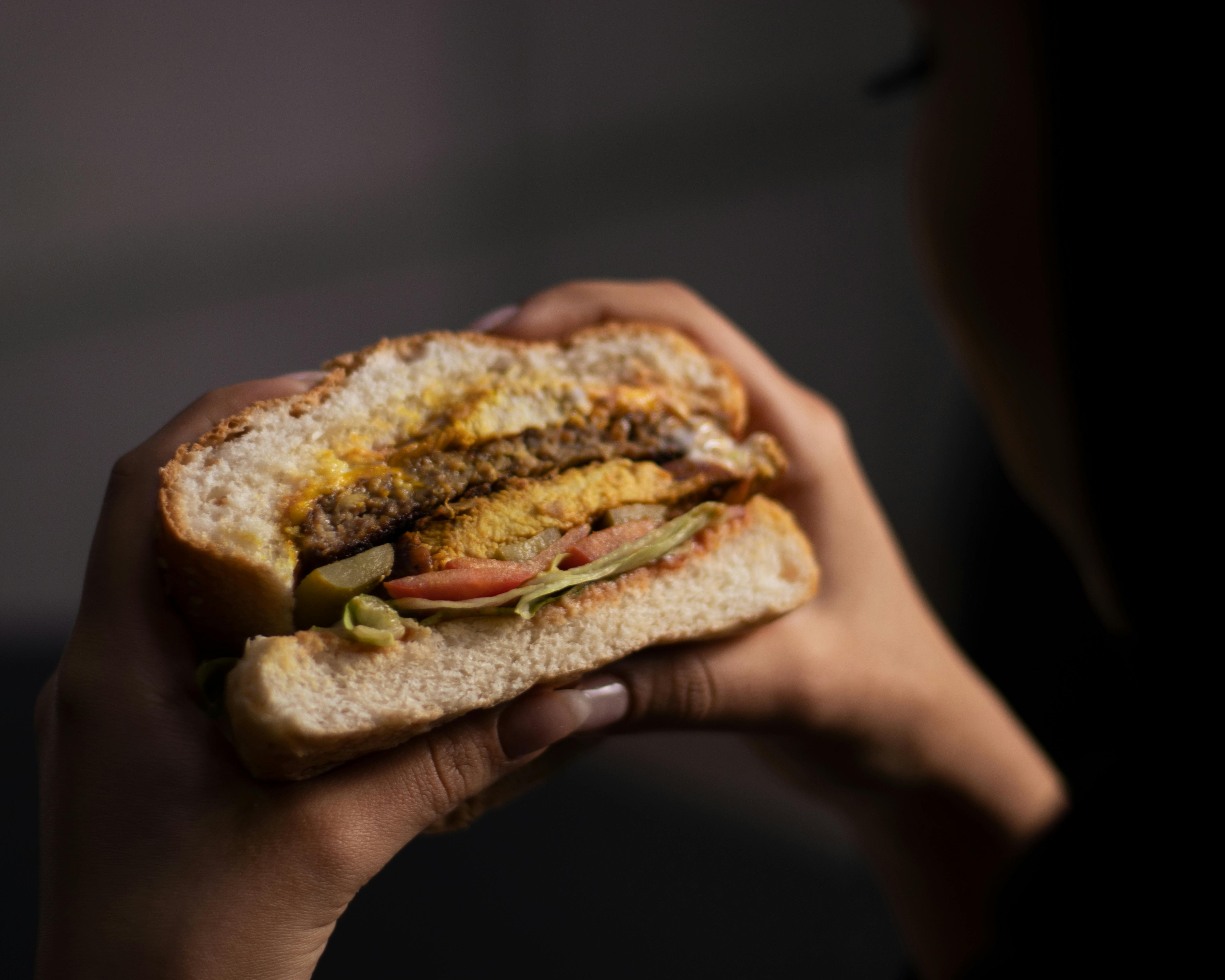 Hands Holding Cheeseburger · Free Stock Photo