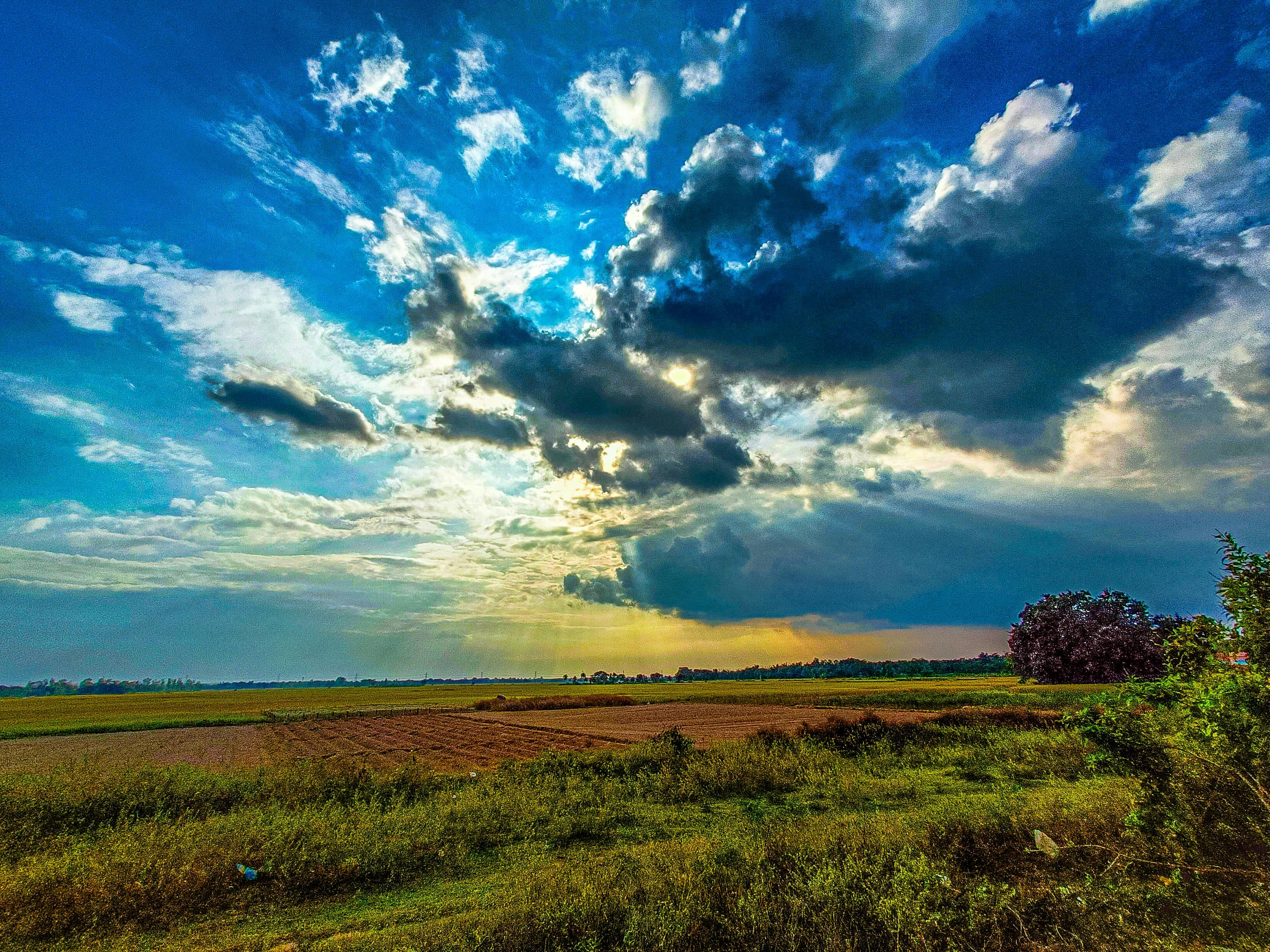 Sayan Ghosh - Fotografía