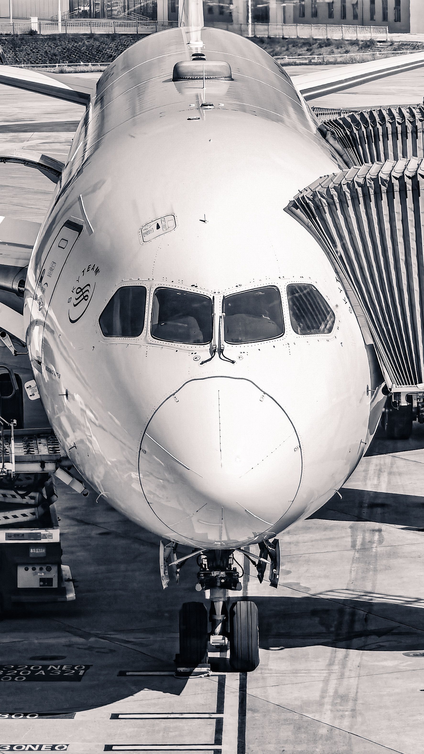 Photo of Airplanes at Airport · Free Stock Photo