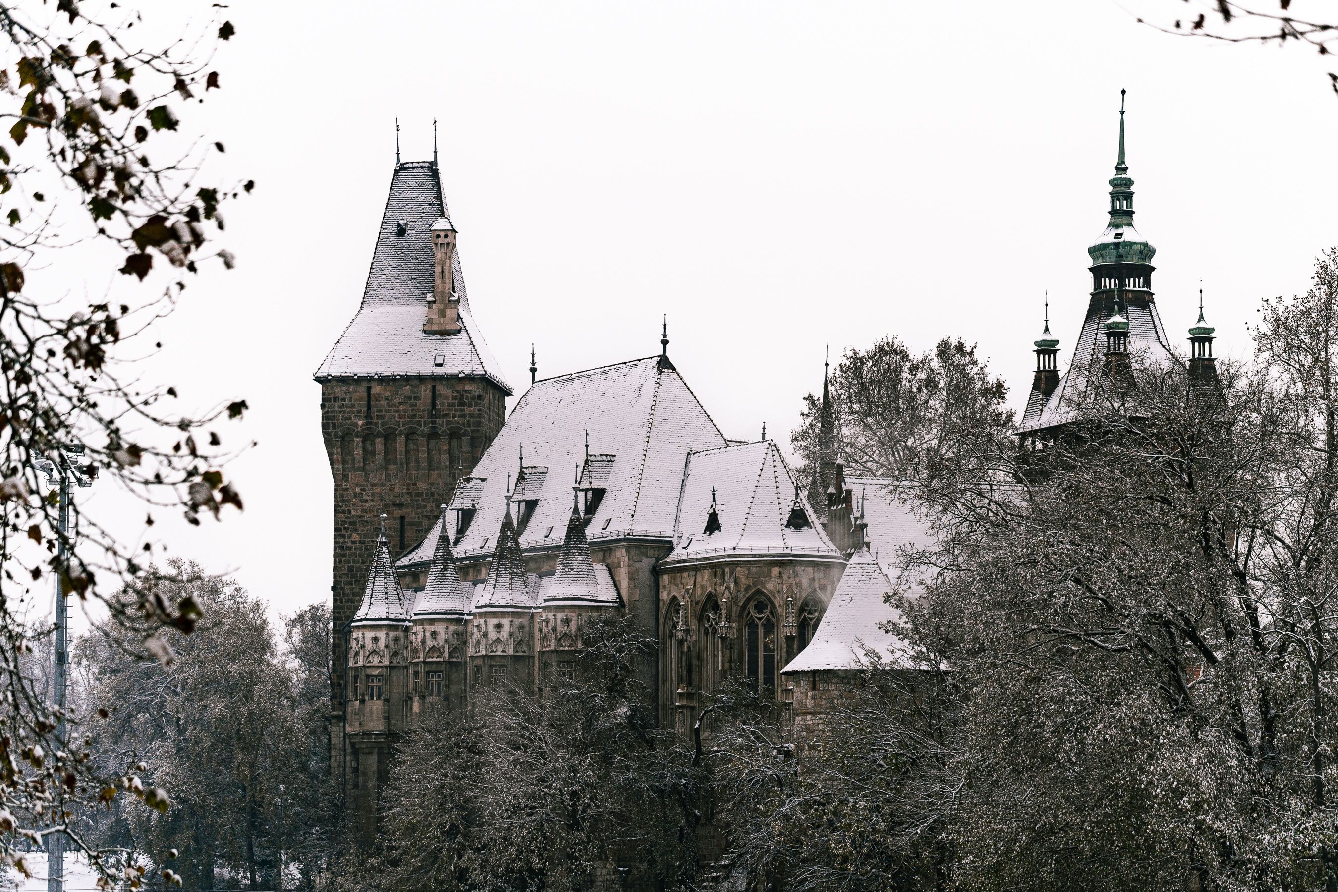 View of Vajdahunyad Castle in Budapest, Hungary in Winter · Free Stock ...